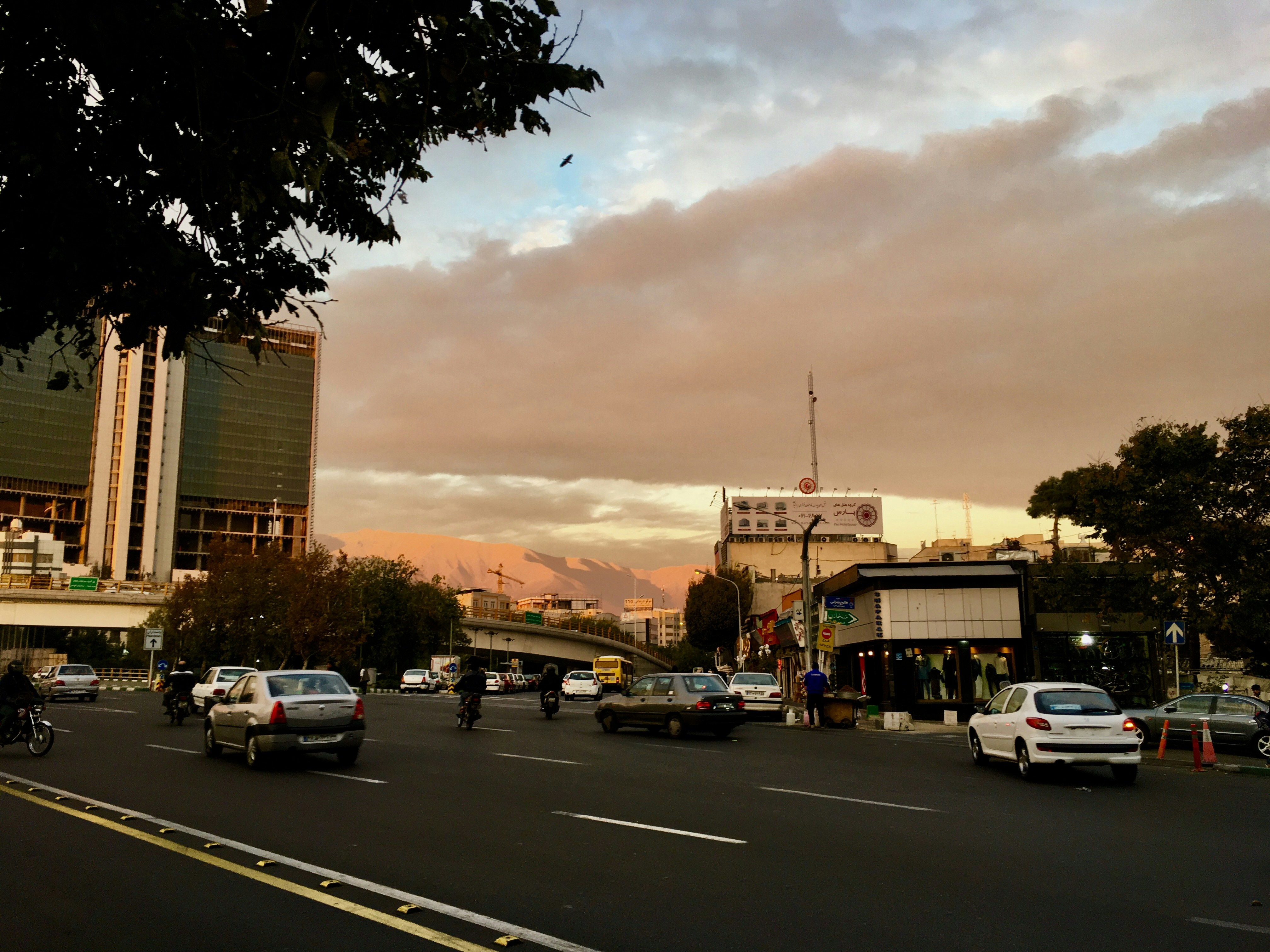 cars on road during daytime