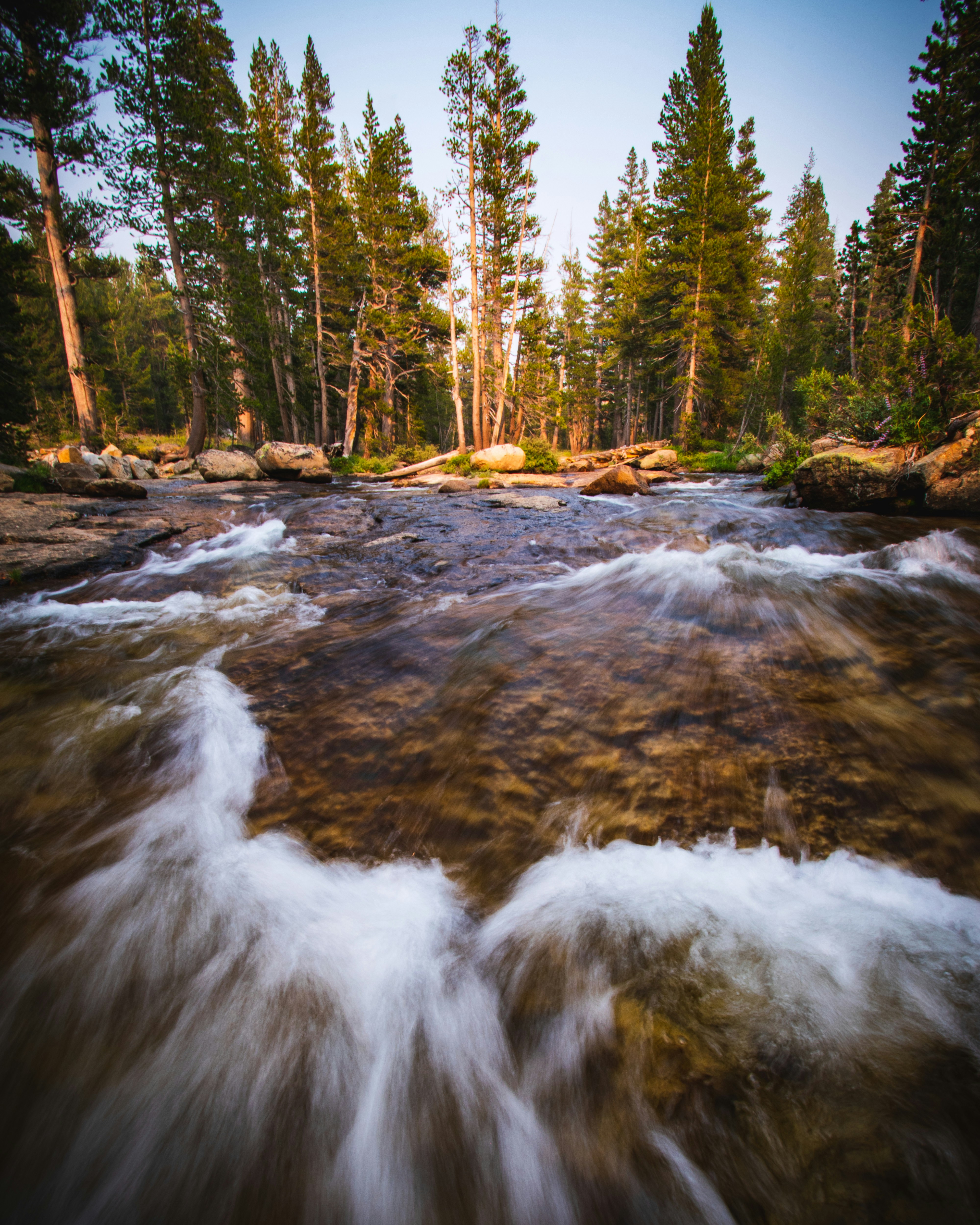 Moving Water Pictures | Download Free Images on Unsplash