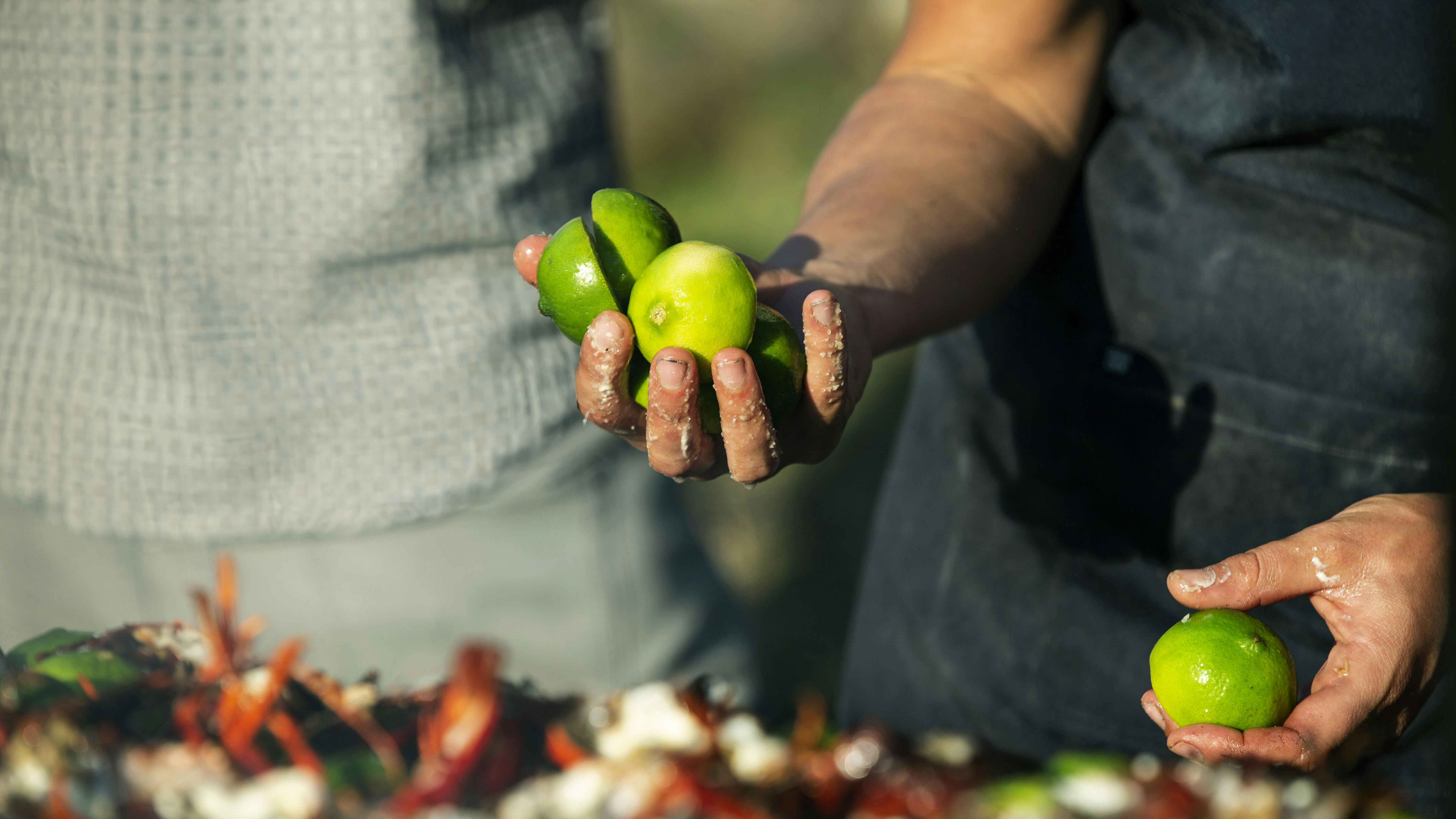 Hands holding fresh limes, preparing for a vibrant culinary experience. The background hints at a lively cooking scene.