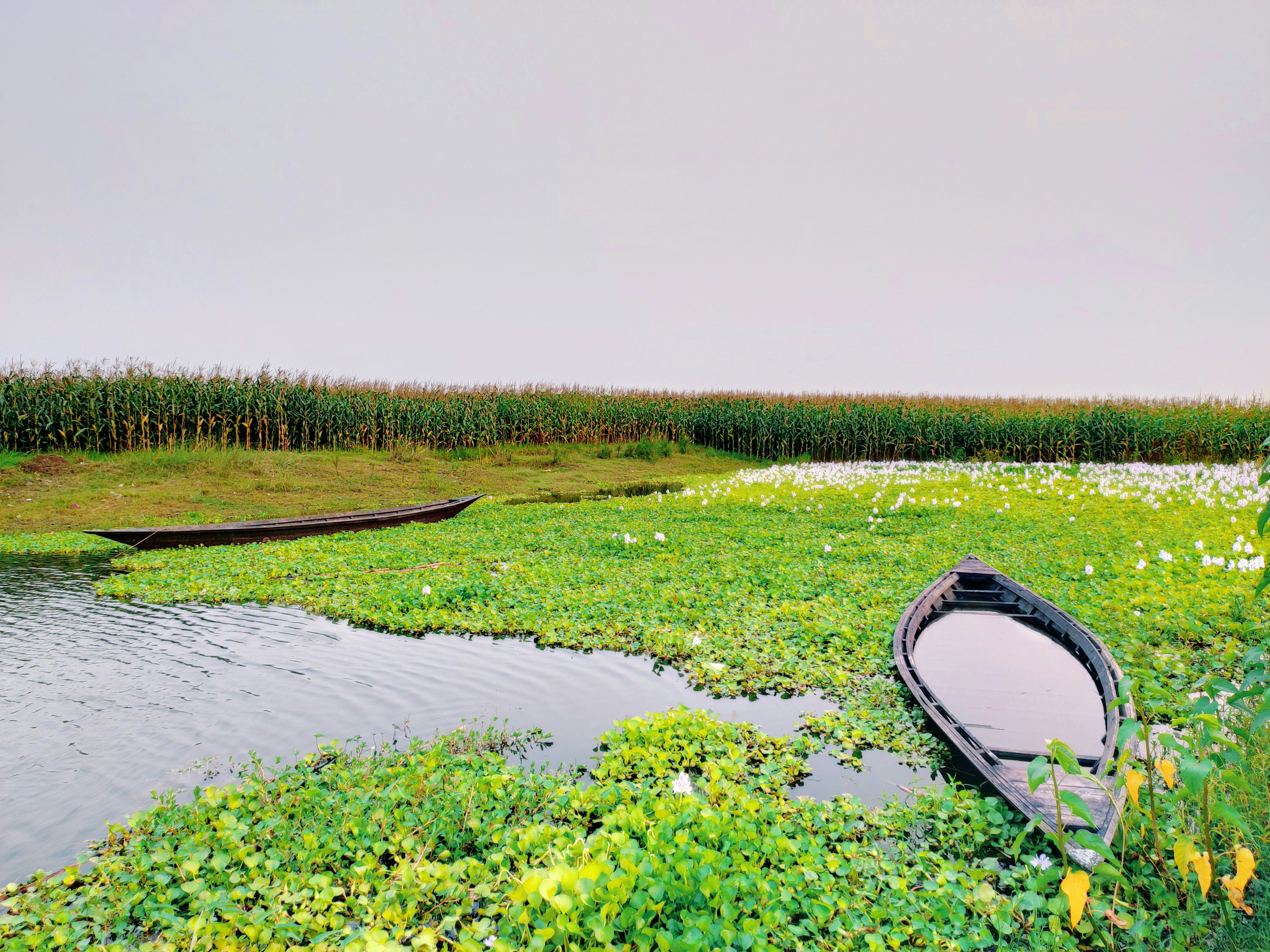 Edge of the Marsh: Two Boats Rest Under a Pale Horizon