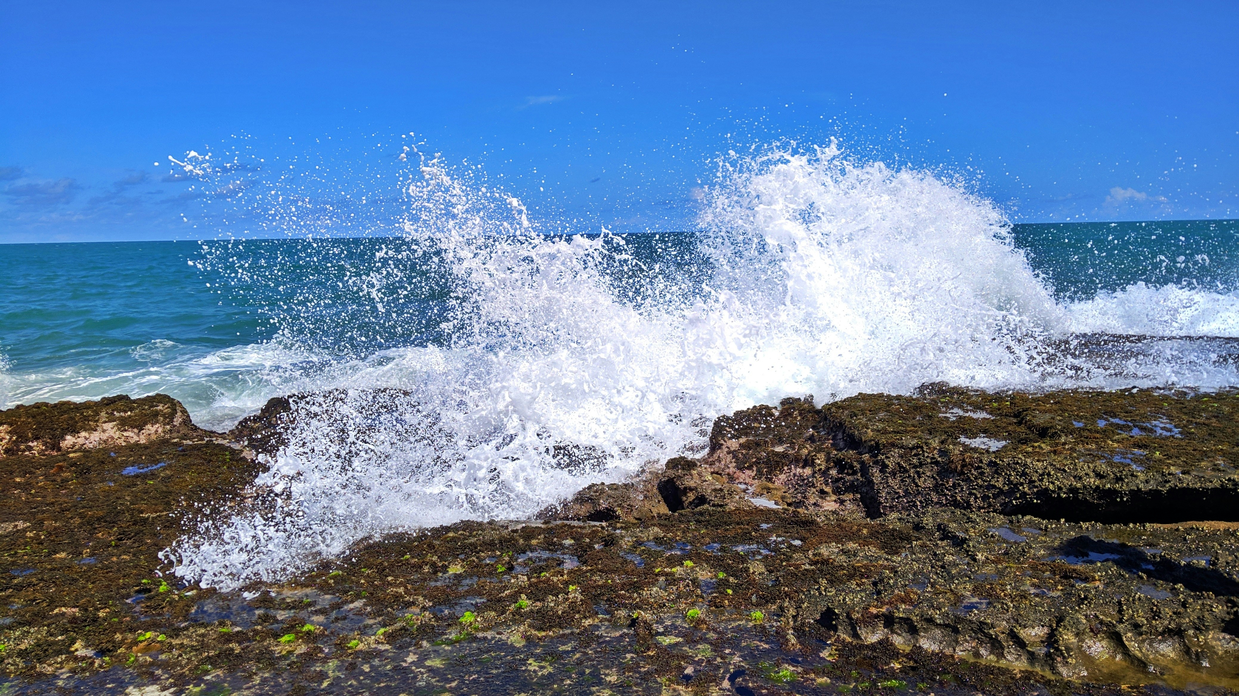 Sample photo from Motorola Moto G5