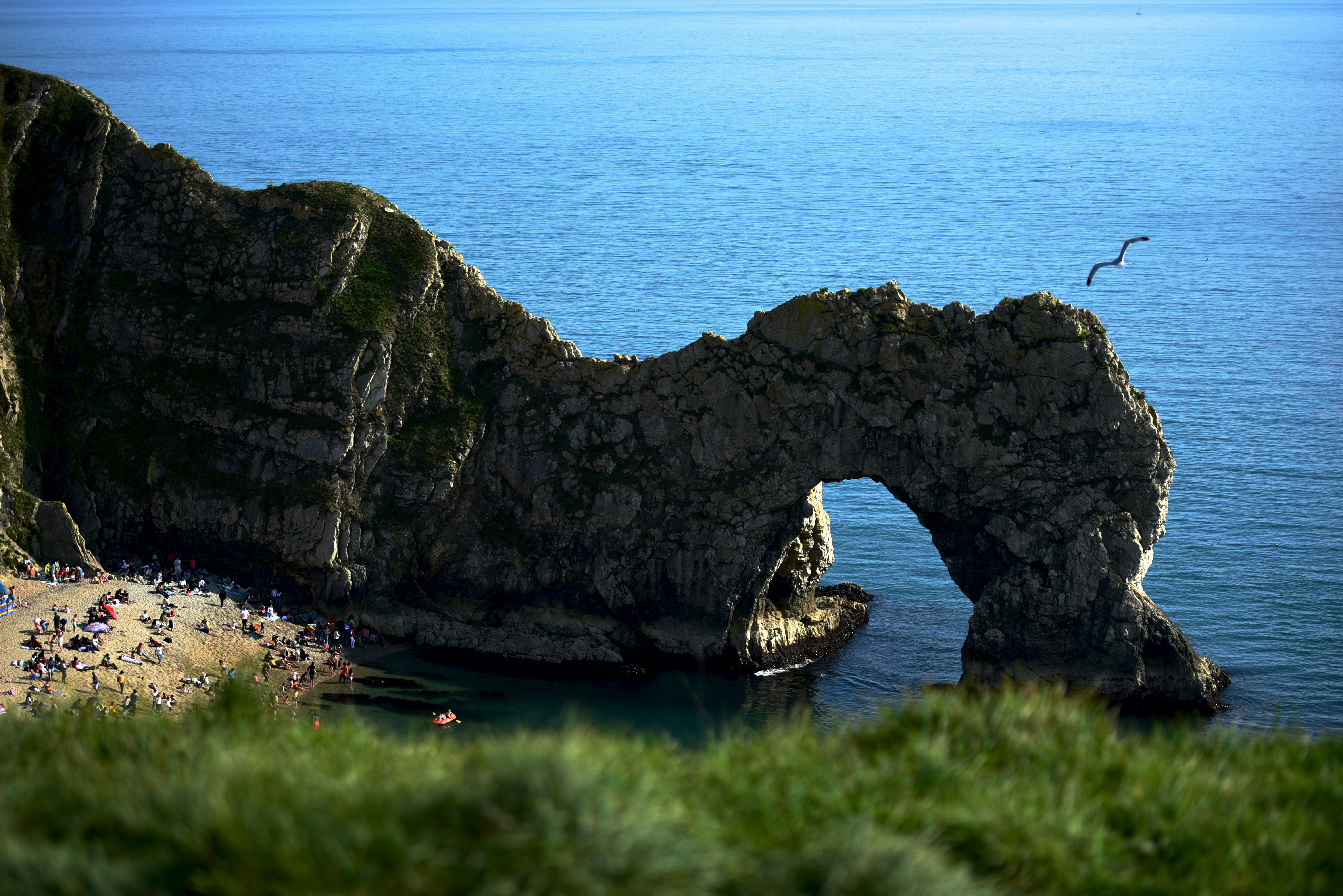 Seaside Archway and Soaring Gull