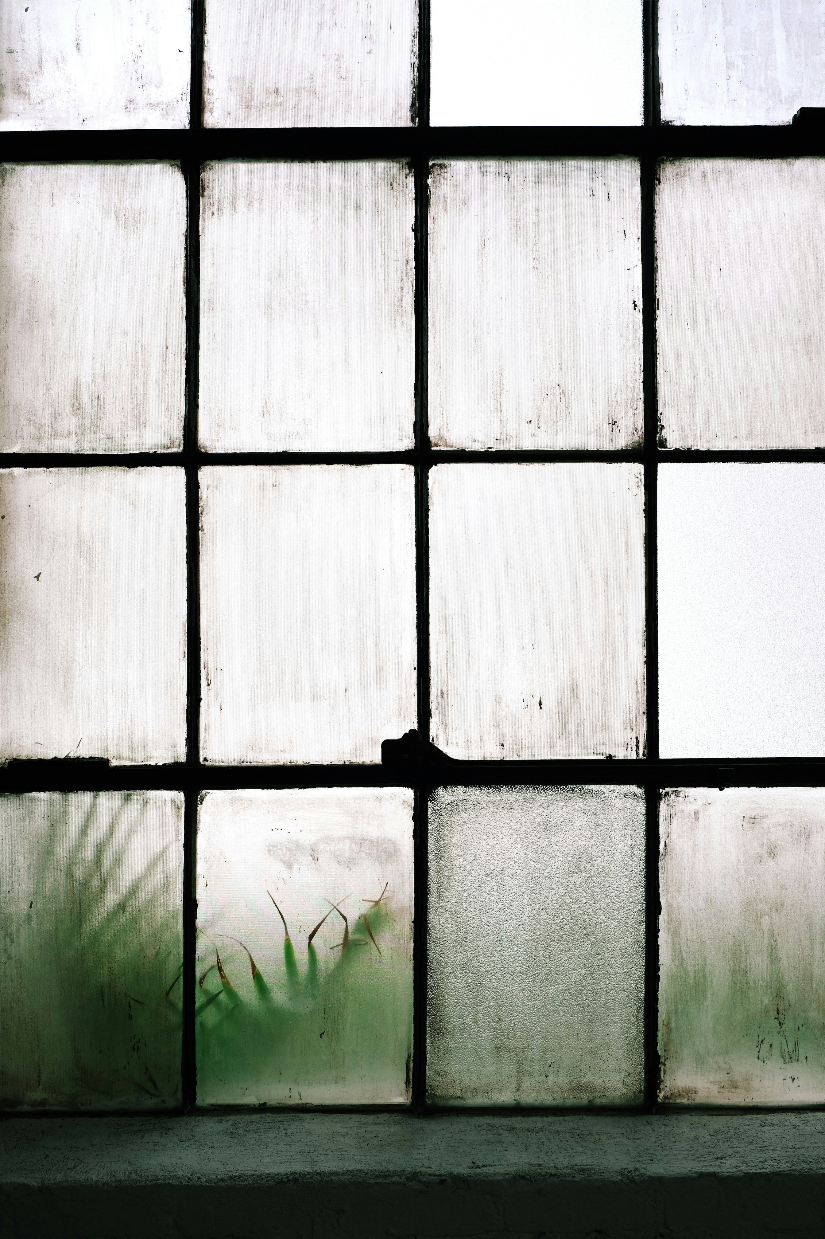 30,000+ Old Window Pictures | Download Free Images on Unsplash