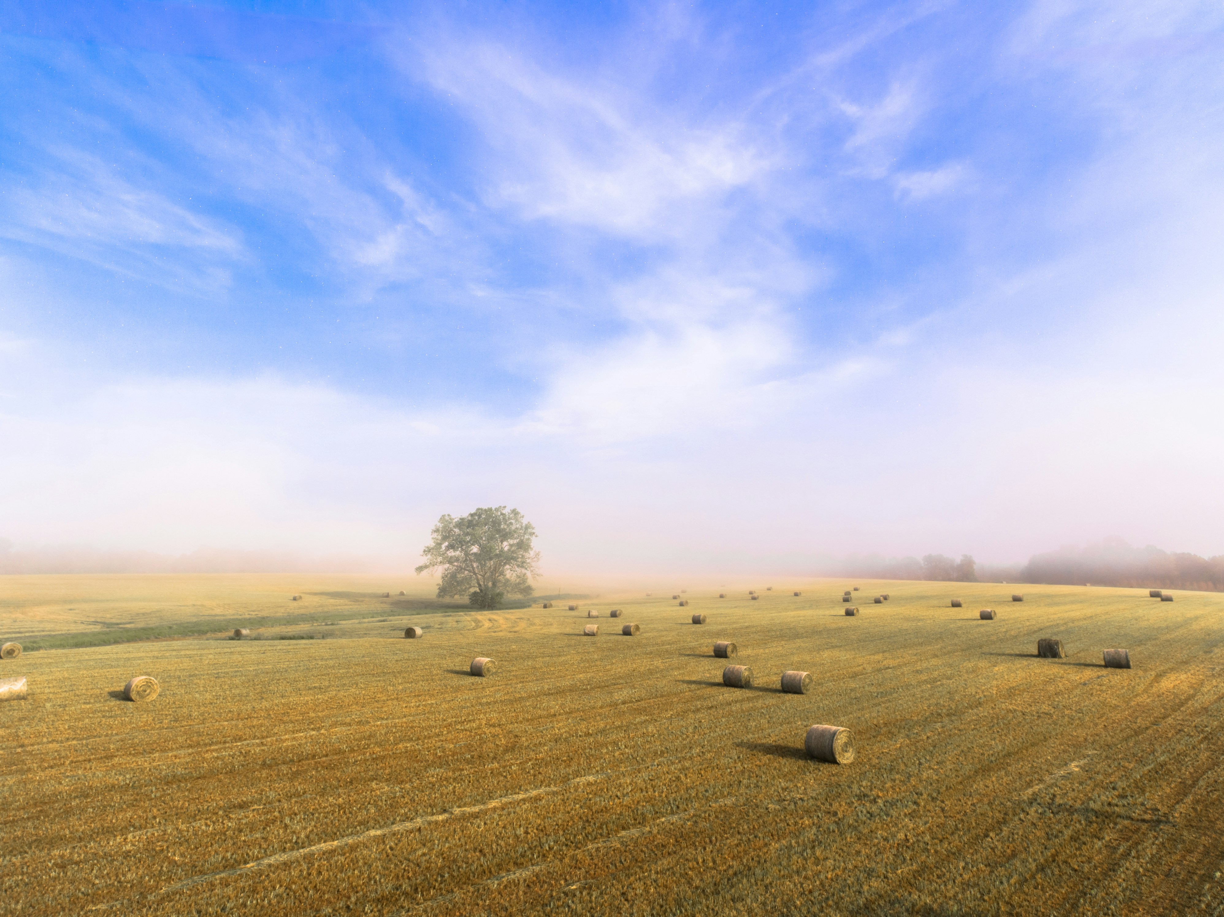 Photographie de vue grand angle du champ photo – Photo Foins Gratuite ...