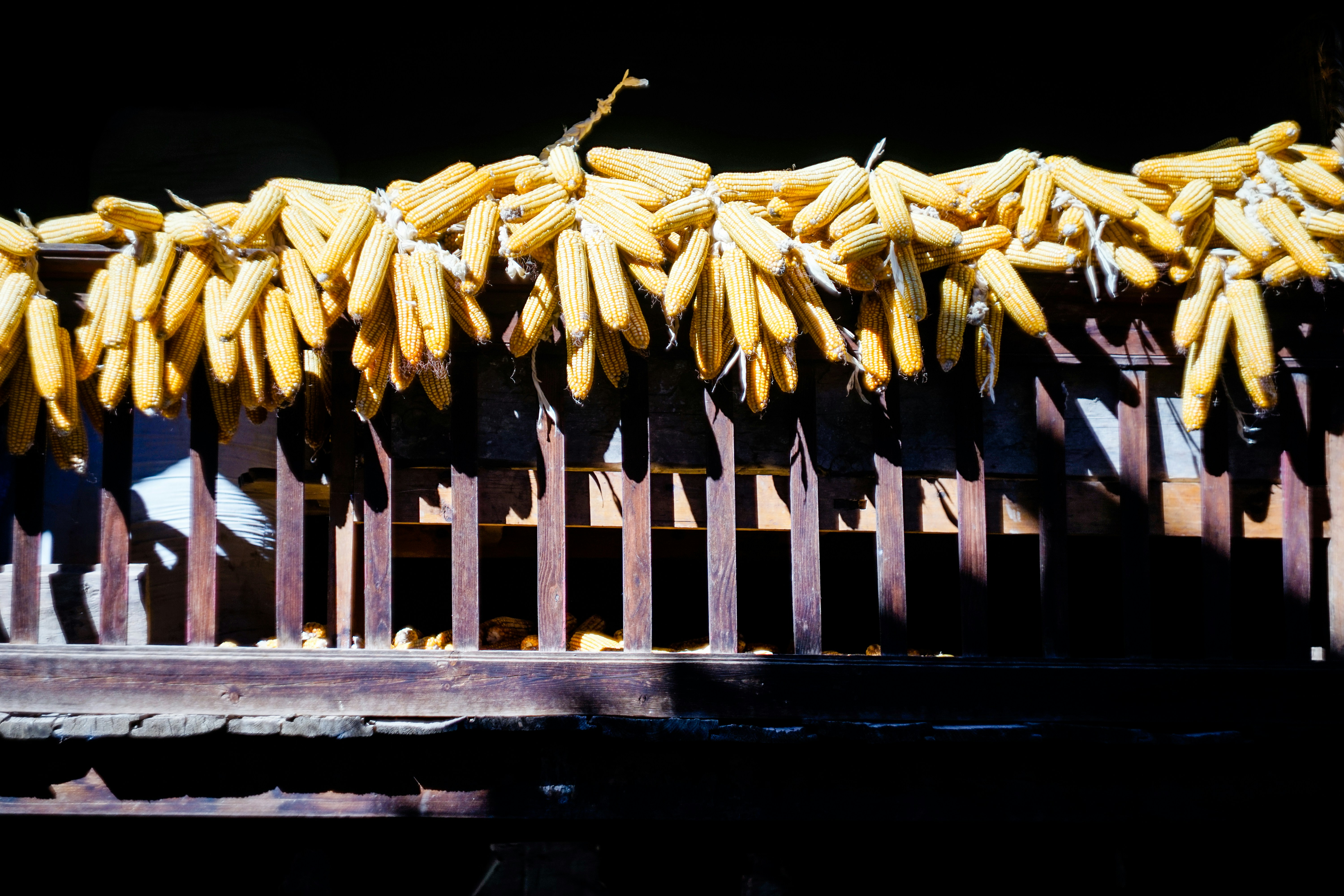 Golden Rows on a Rustic Balcony: Drying Corn in Sunlight