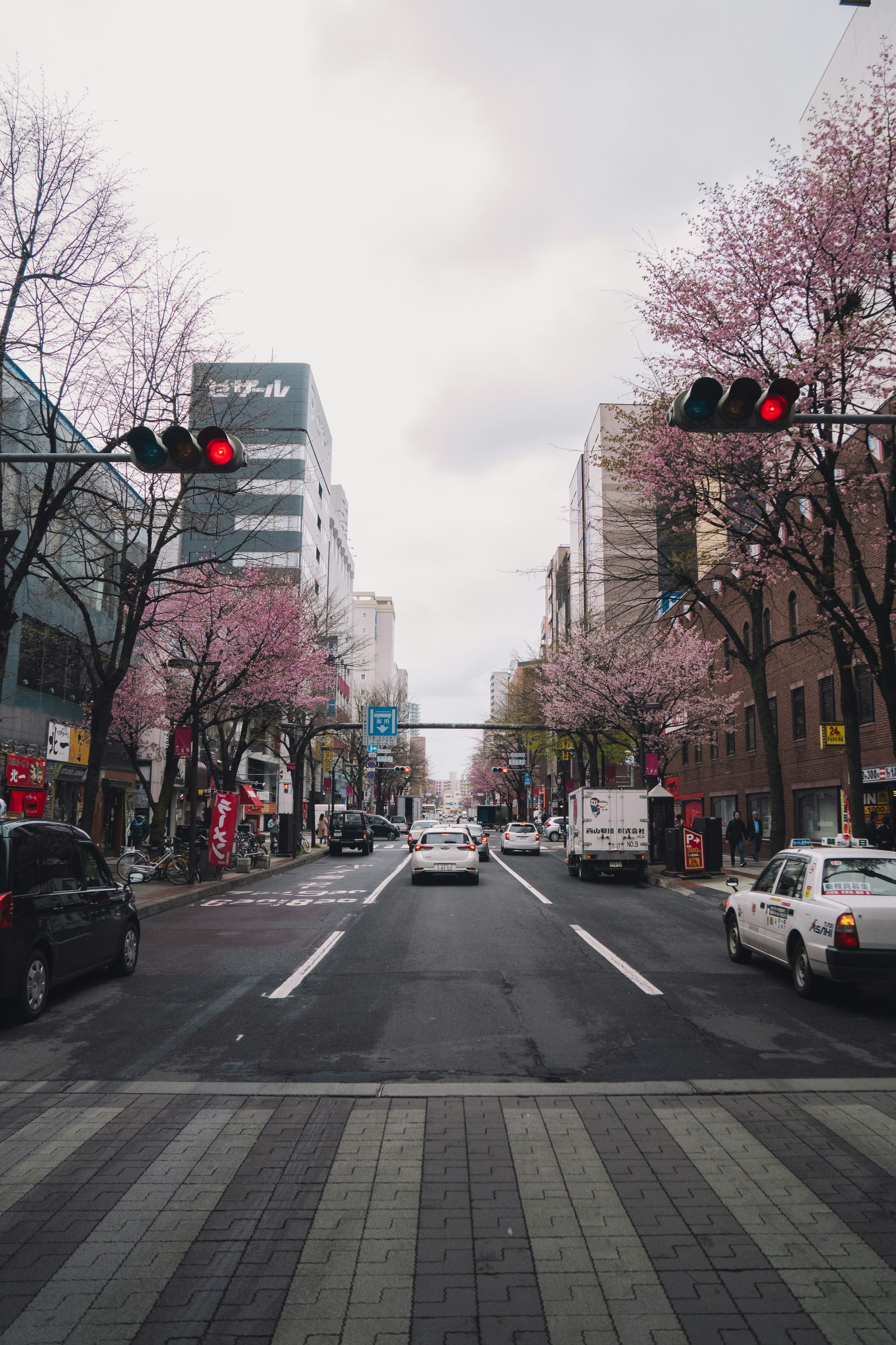 Running vehicles on road photo – Free Grey Image on Unsplash