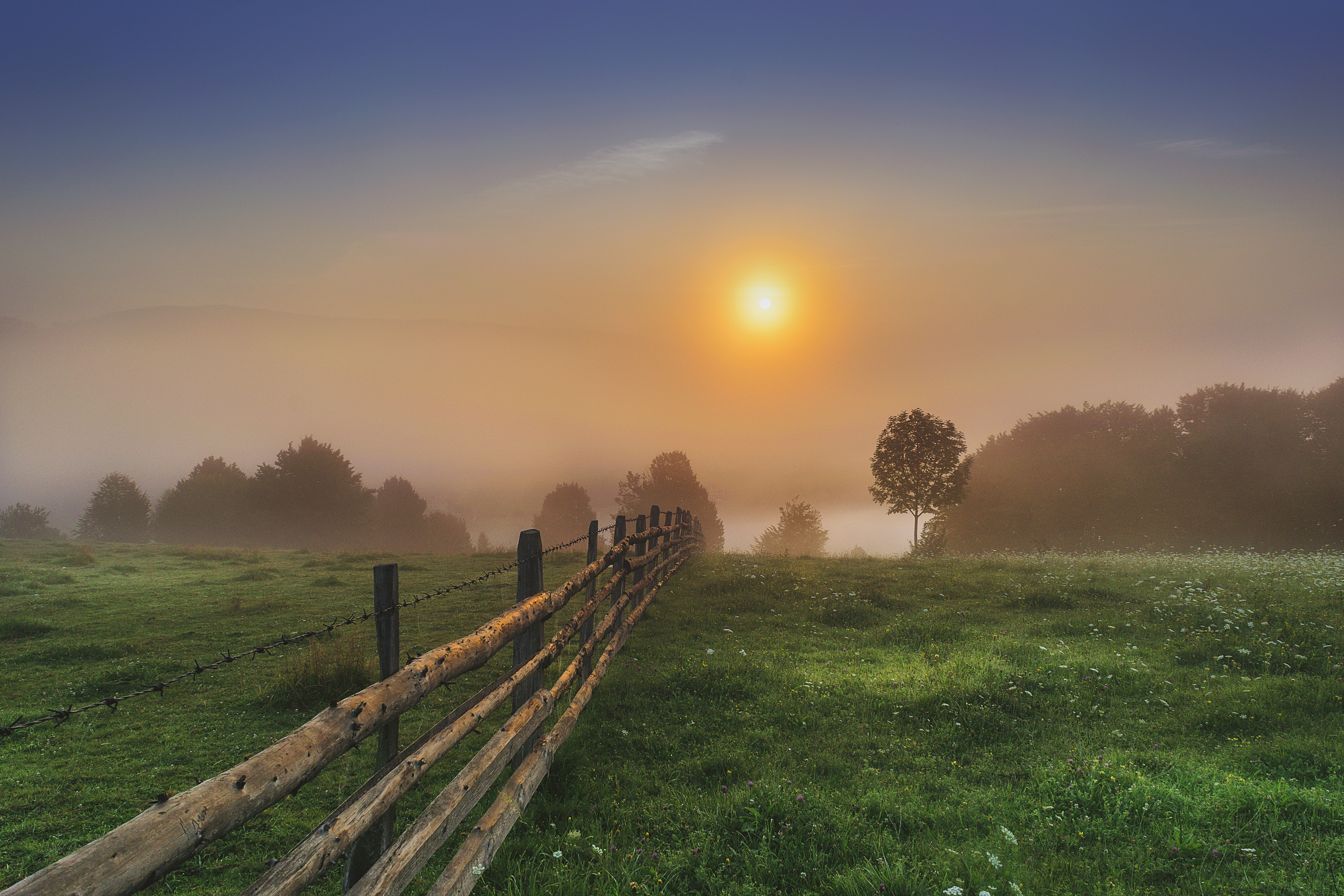 Early Morning Fence to the Sun
