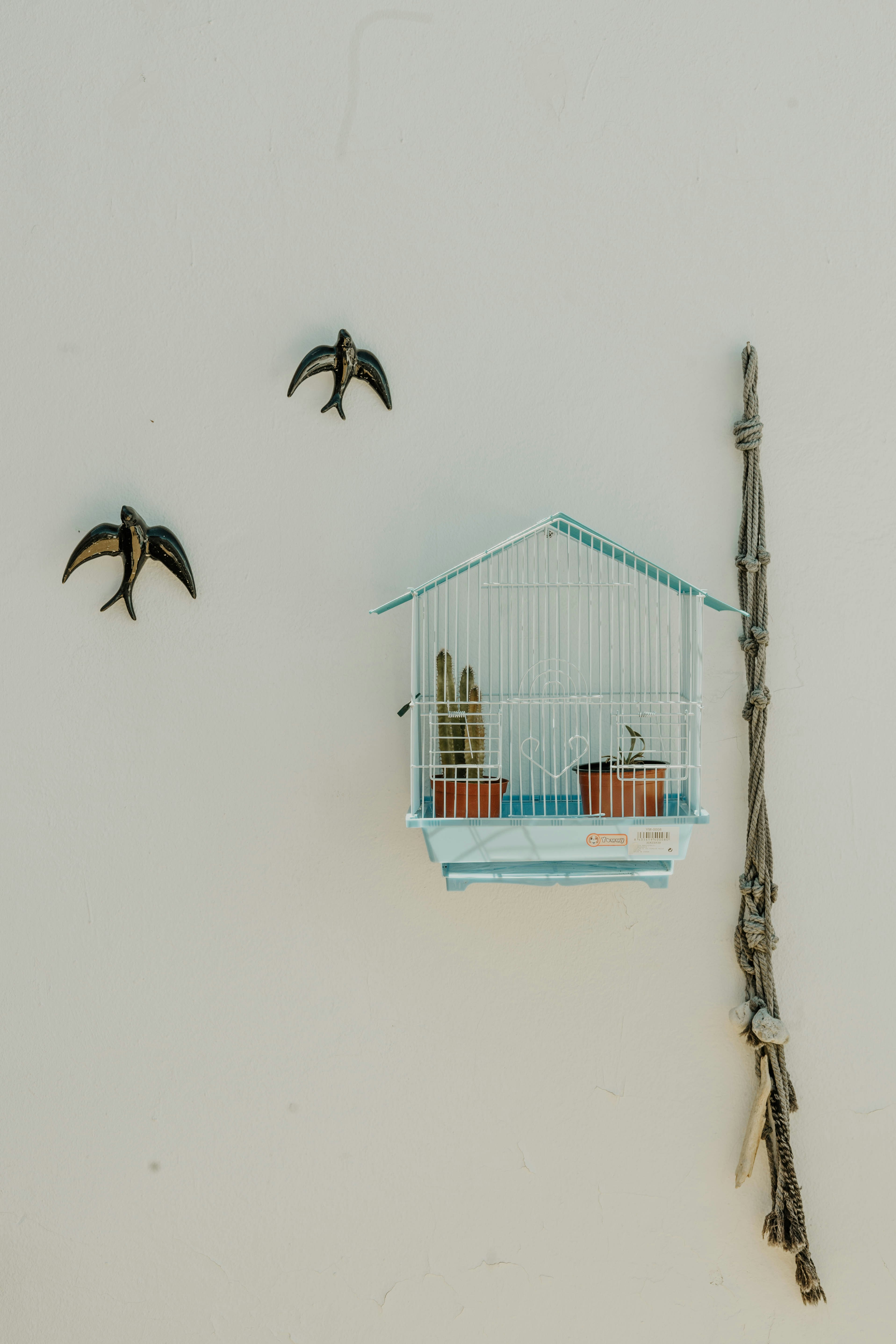 A pastel blue birdhouse adorned with potted plants, accompanied by decorative birds on a minimalist wall. The arrangement evokes a sense of tranquility.