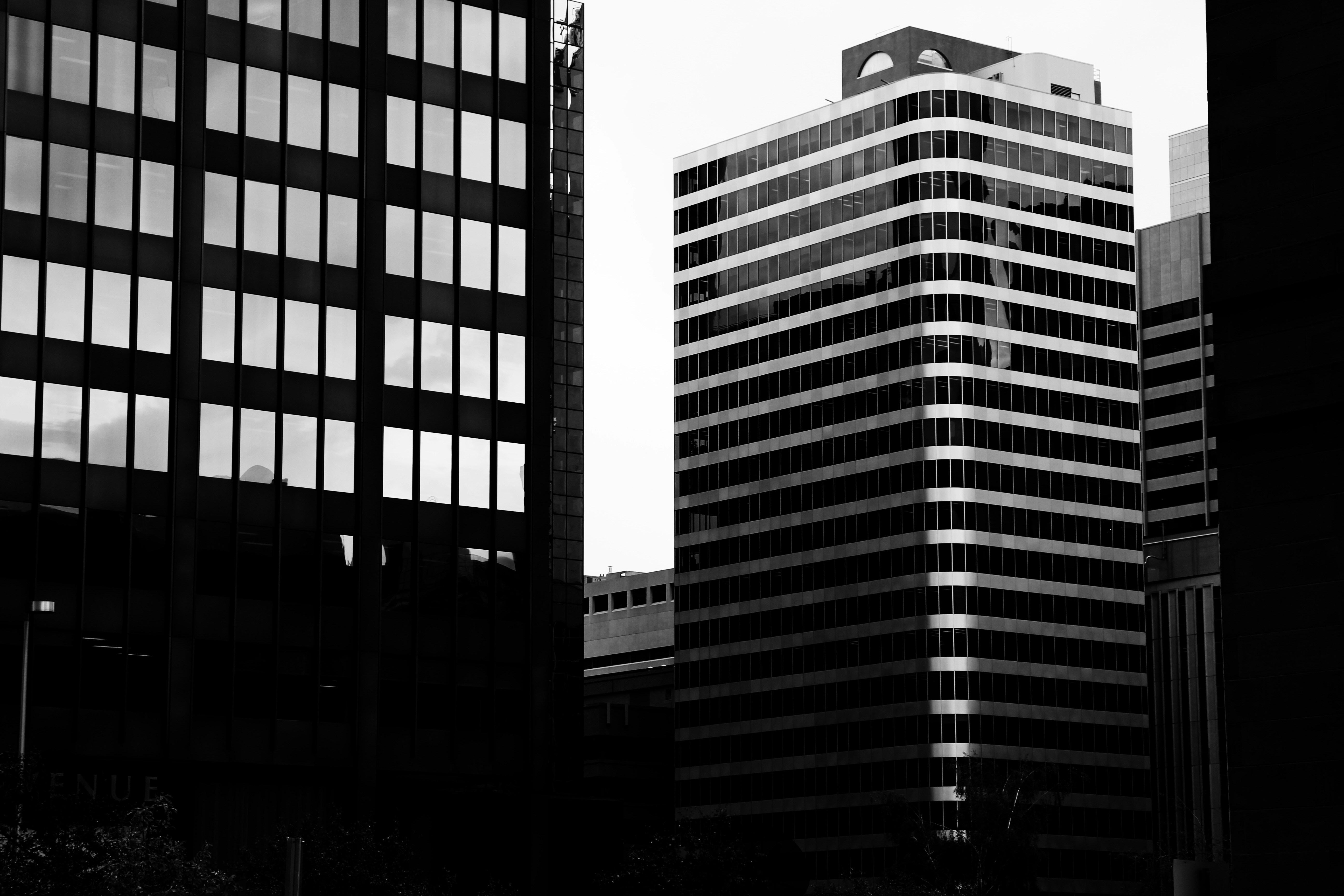 Monochrome cityscape highlighting the architectural interplay between glass and steel structures. The buildings create a striking contrast with their reflections and shadows.