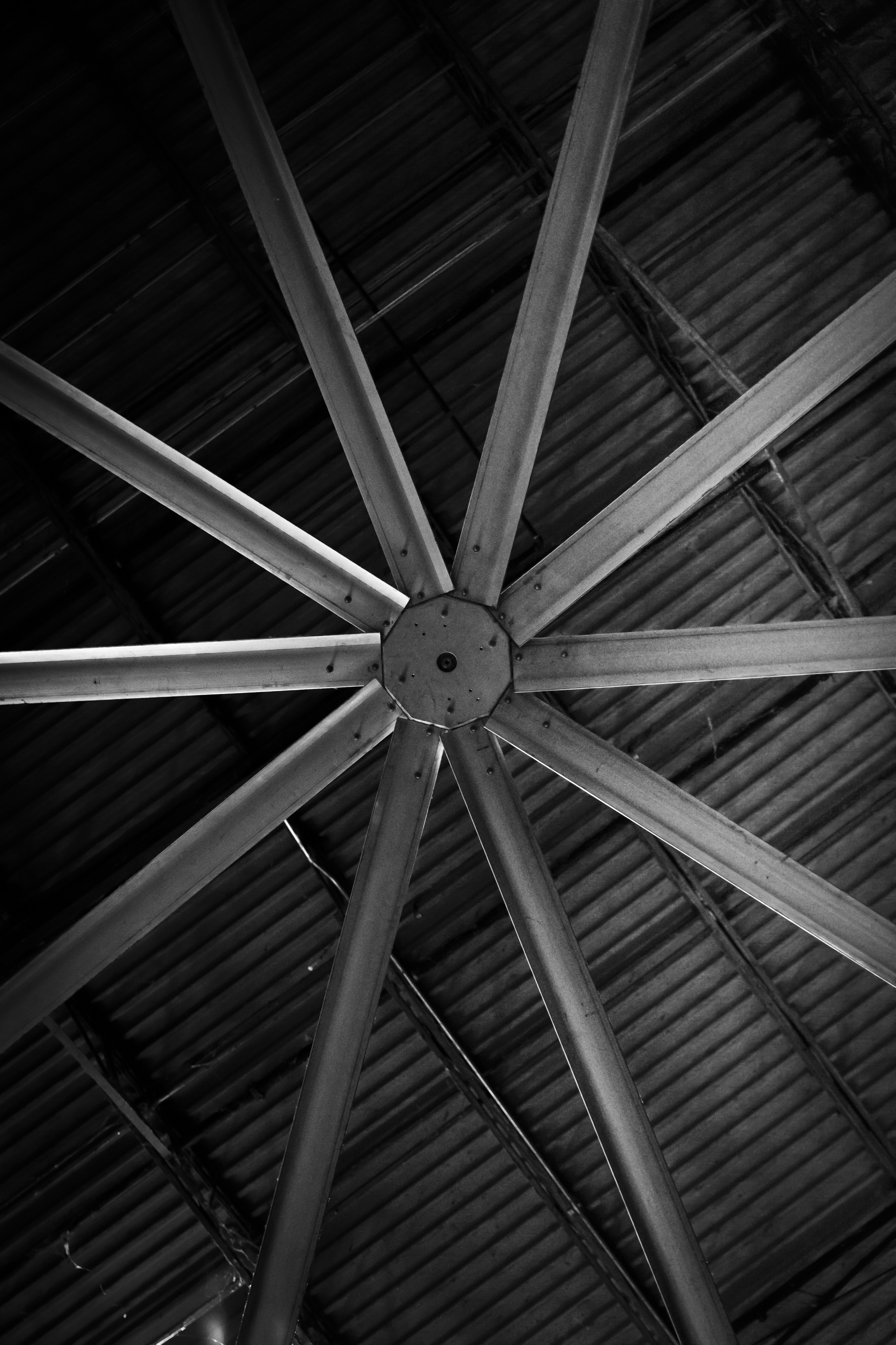 Convergence at the Center: Radiating Steel Beams under a Corrugated Roof