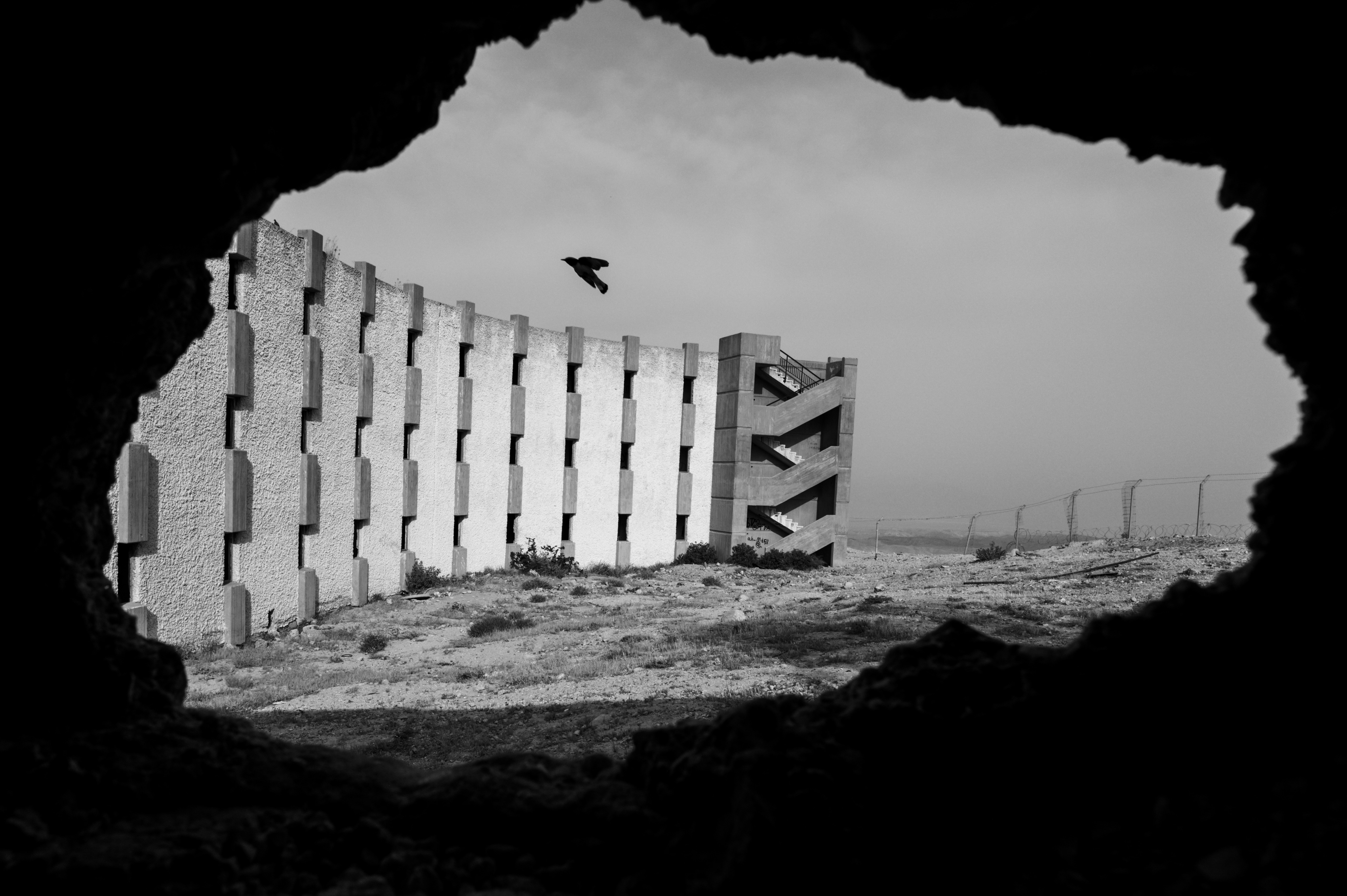 Bird in Flight over a Concrete Barricade Framed by a Shattering View