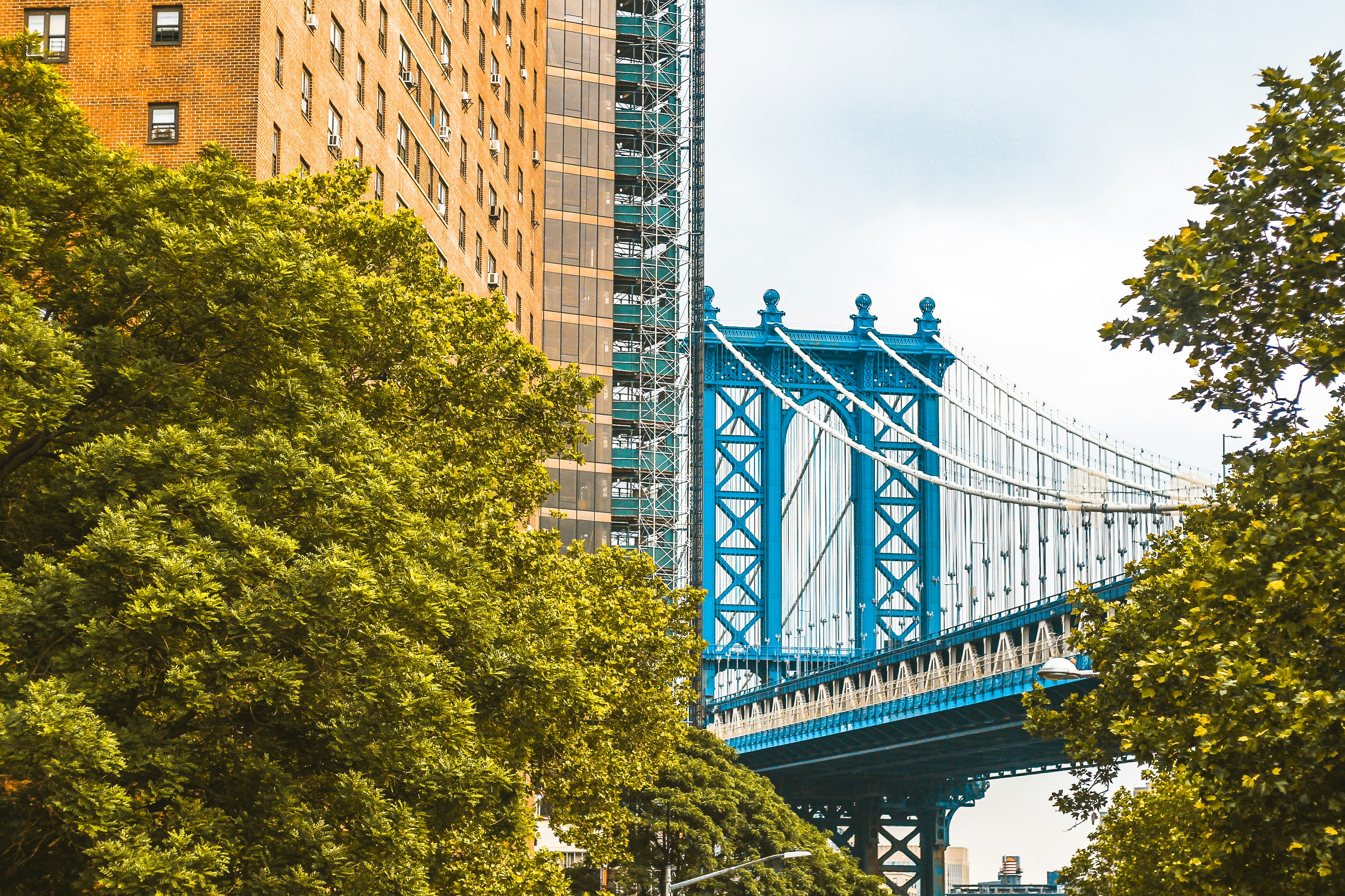 Riverside Vista: Blue Suspension Slice through Urban Canopy