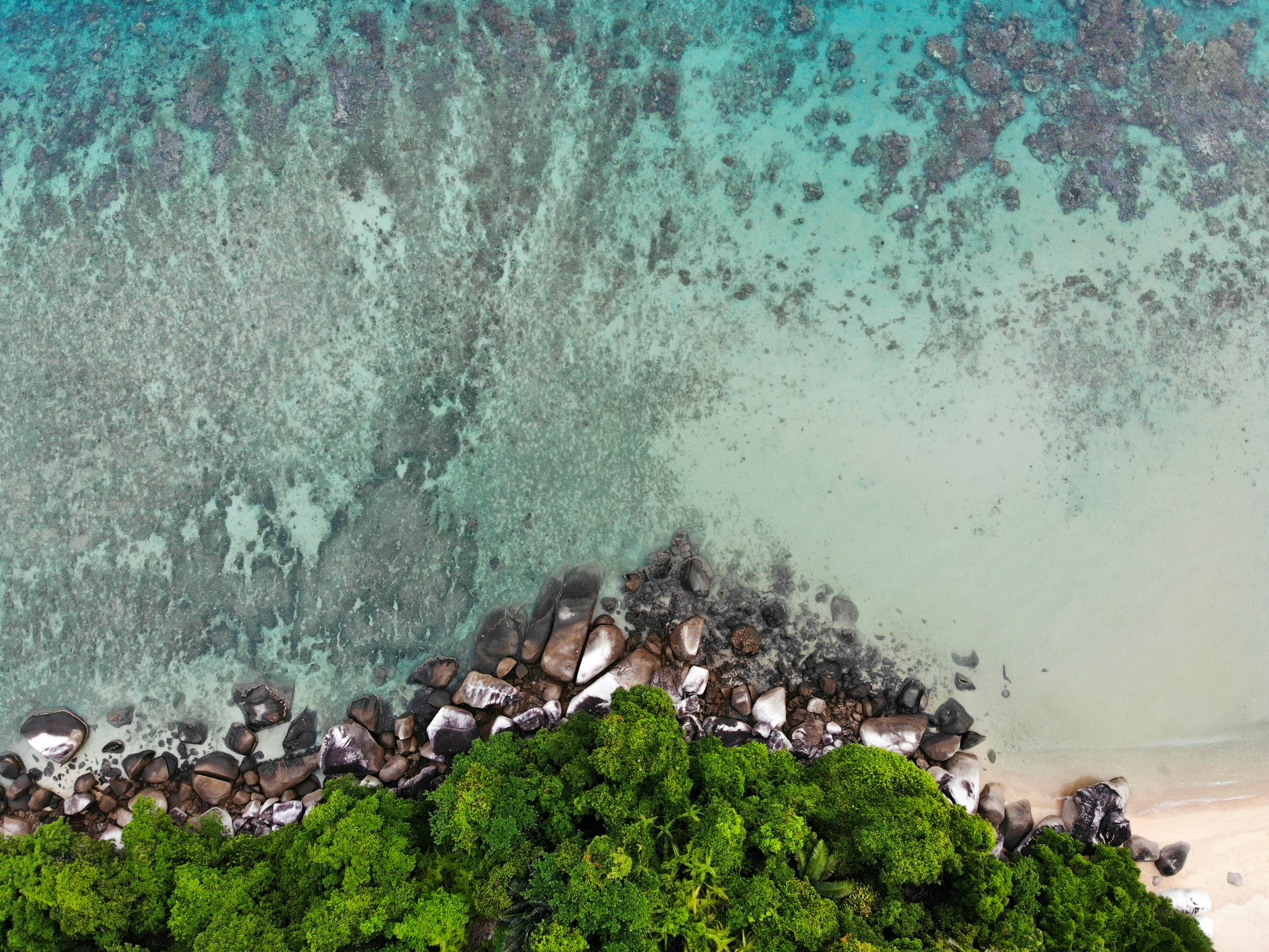 Aerial Harmony: Verdant Coastline Meets Crystal Waters