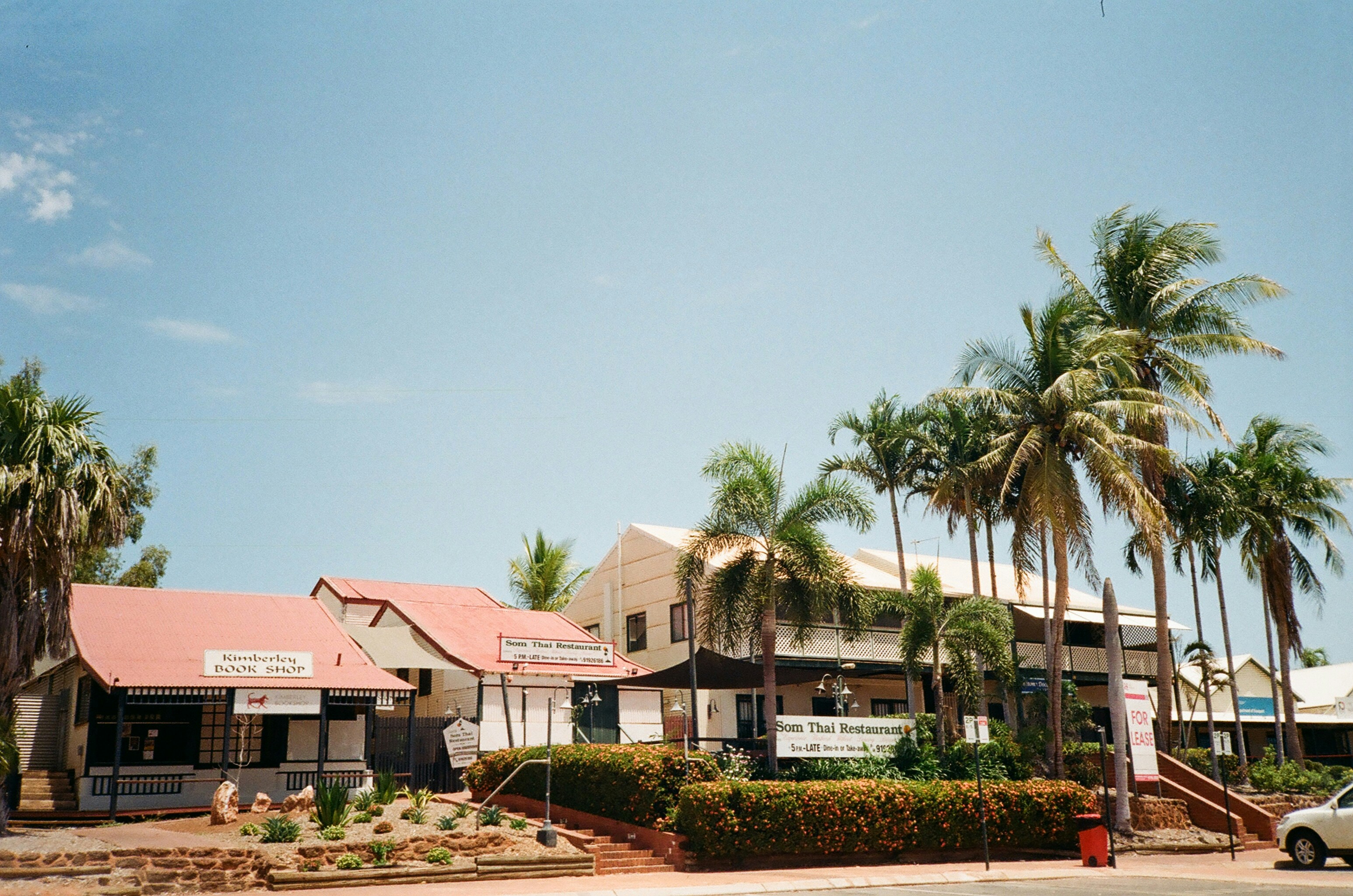 Historic buildings framed by lush palm trees in a coastal town, showcasing local architecture and vibrant community life.