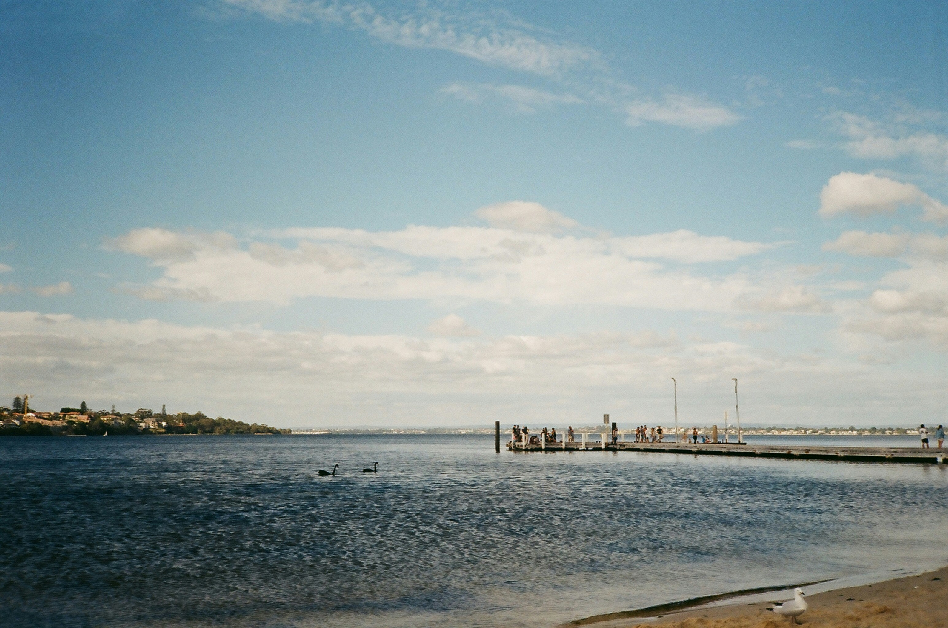 A serene waterfront scene featuring a wooden pier bustling with people against a backdrop of gentle waves and a partly cloudy sky.