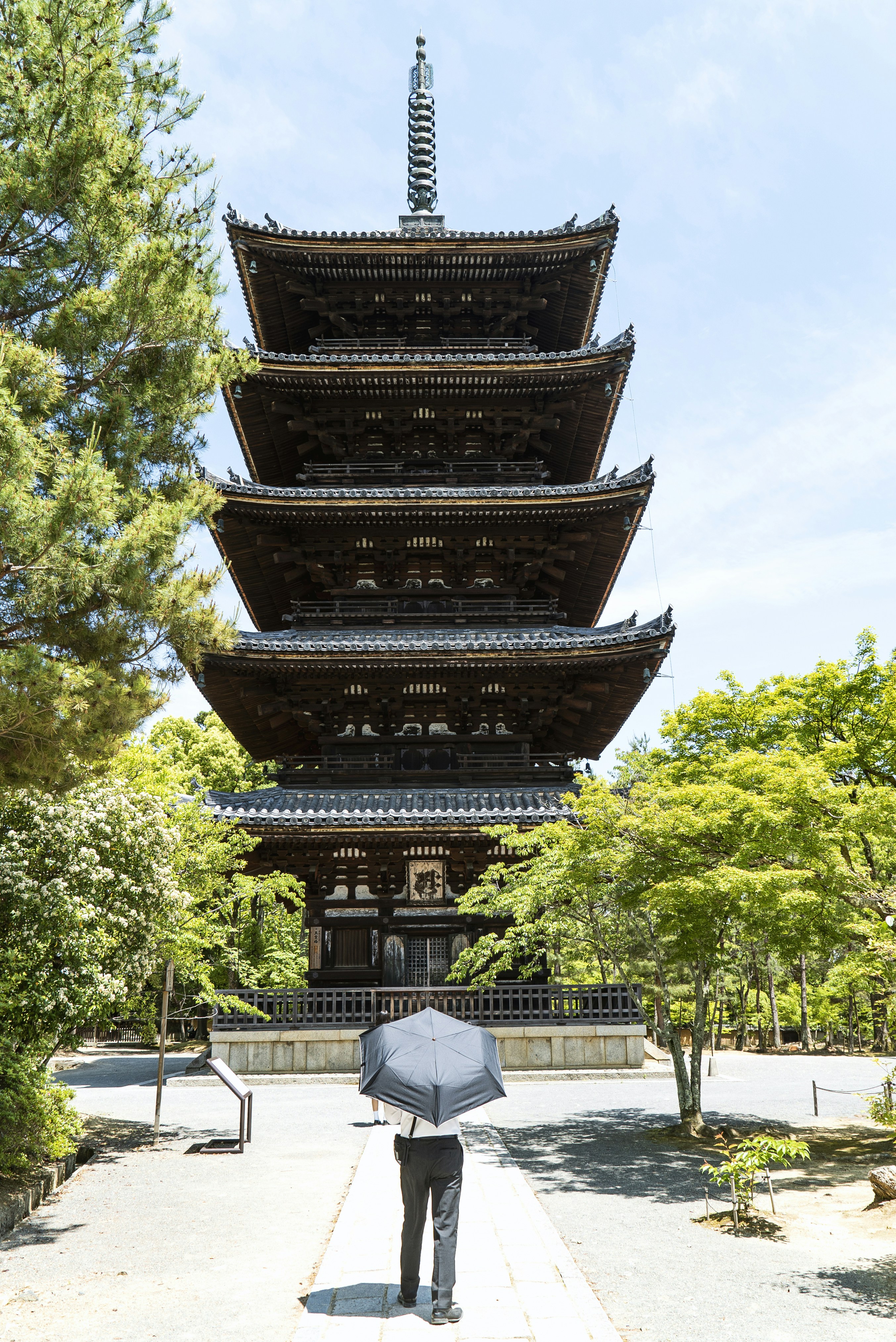 Temple in Bloom: A Lone Visitor Beneath the Spires
