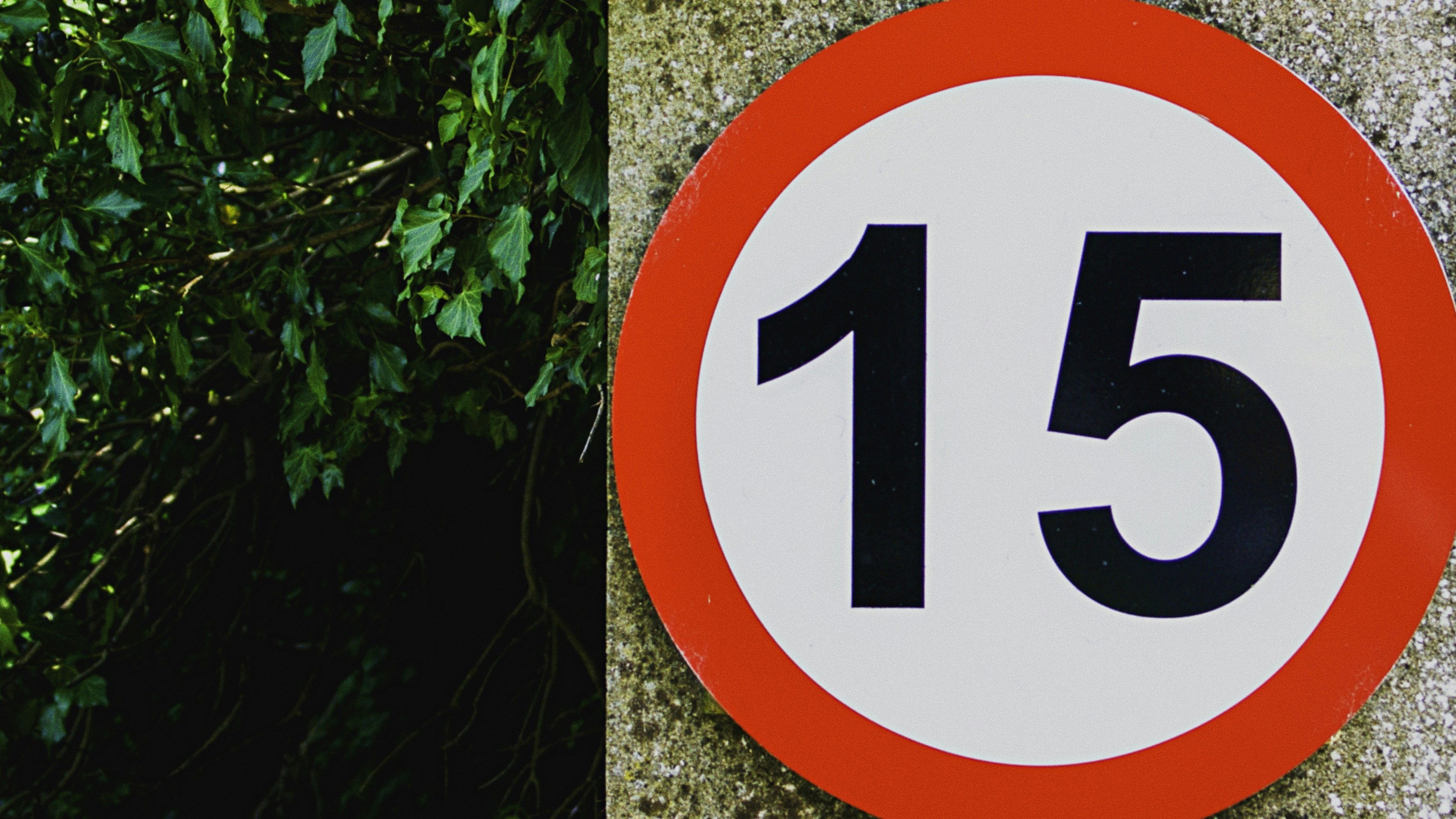Circular speed limit sign '15' against a rough stone backdrop on the right, with dense foliage filling the left half.