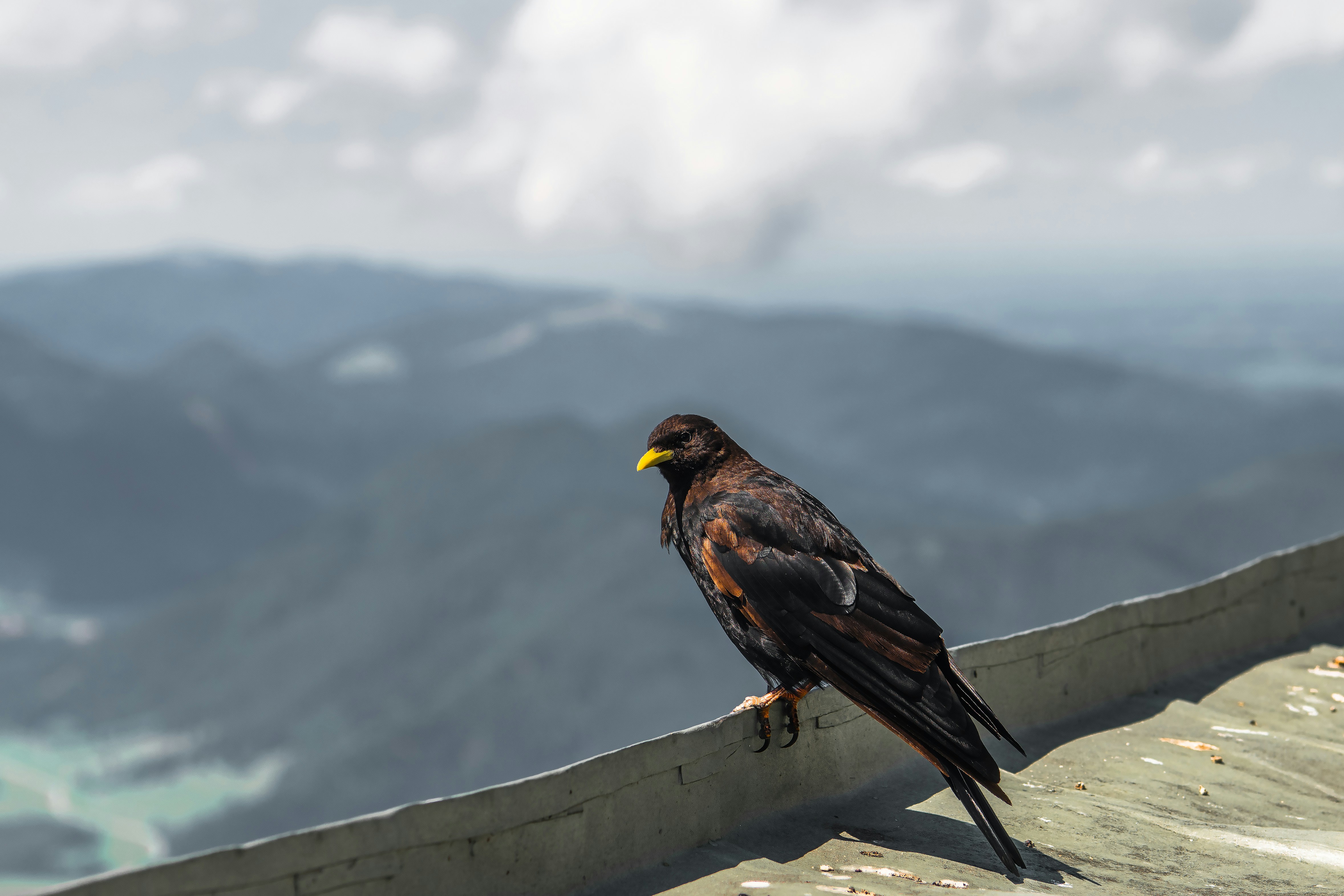 "turisa" Falcon Venezuela Pictures | Download Free Images on Unsplash