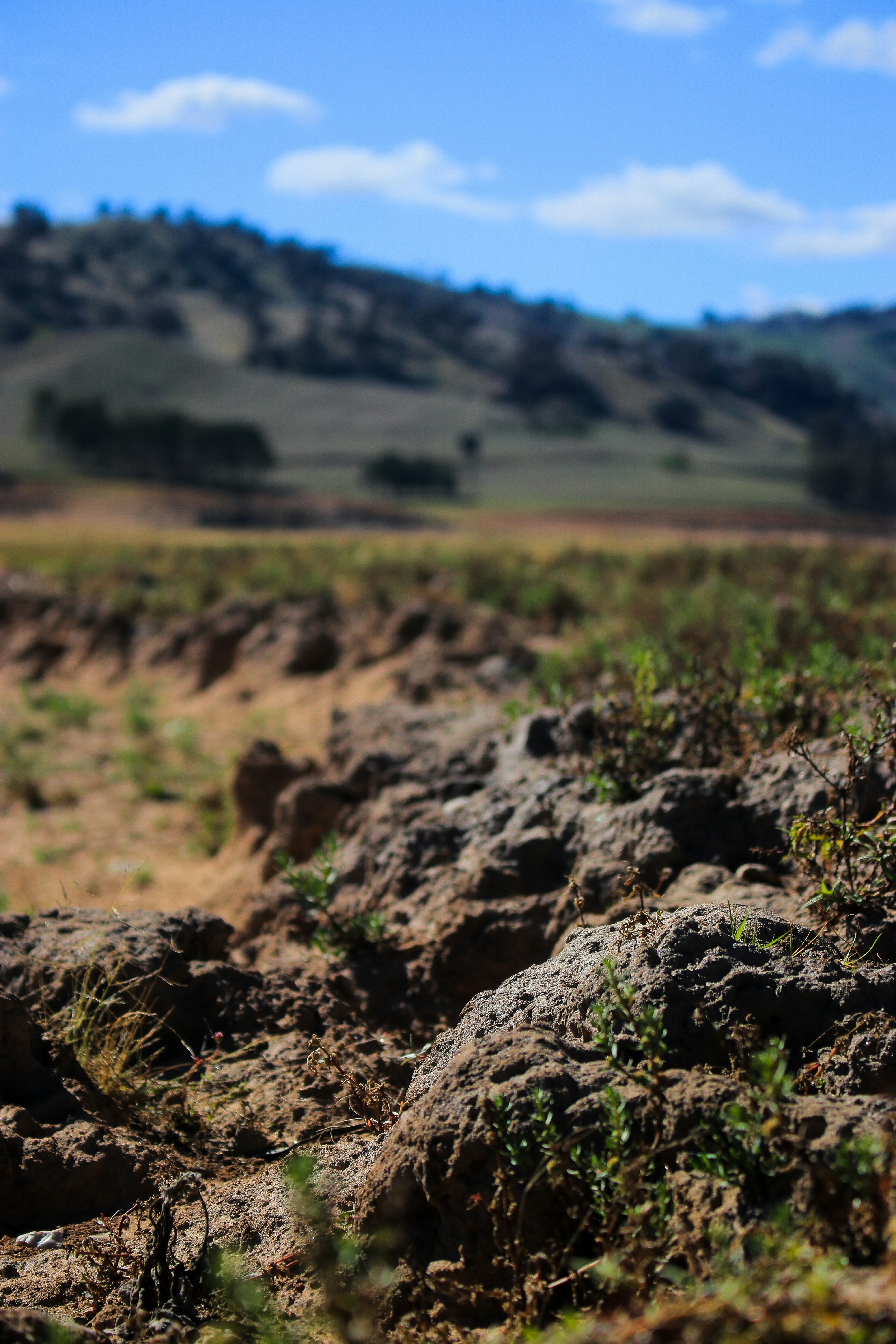 Granite in Focus: Rugged Foreground Framing a Quiet Horizon
