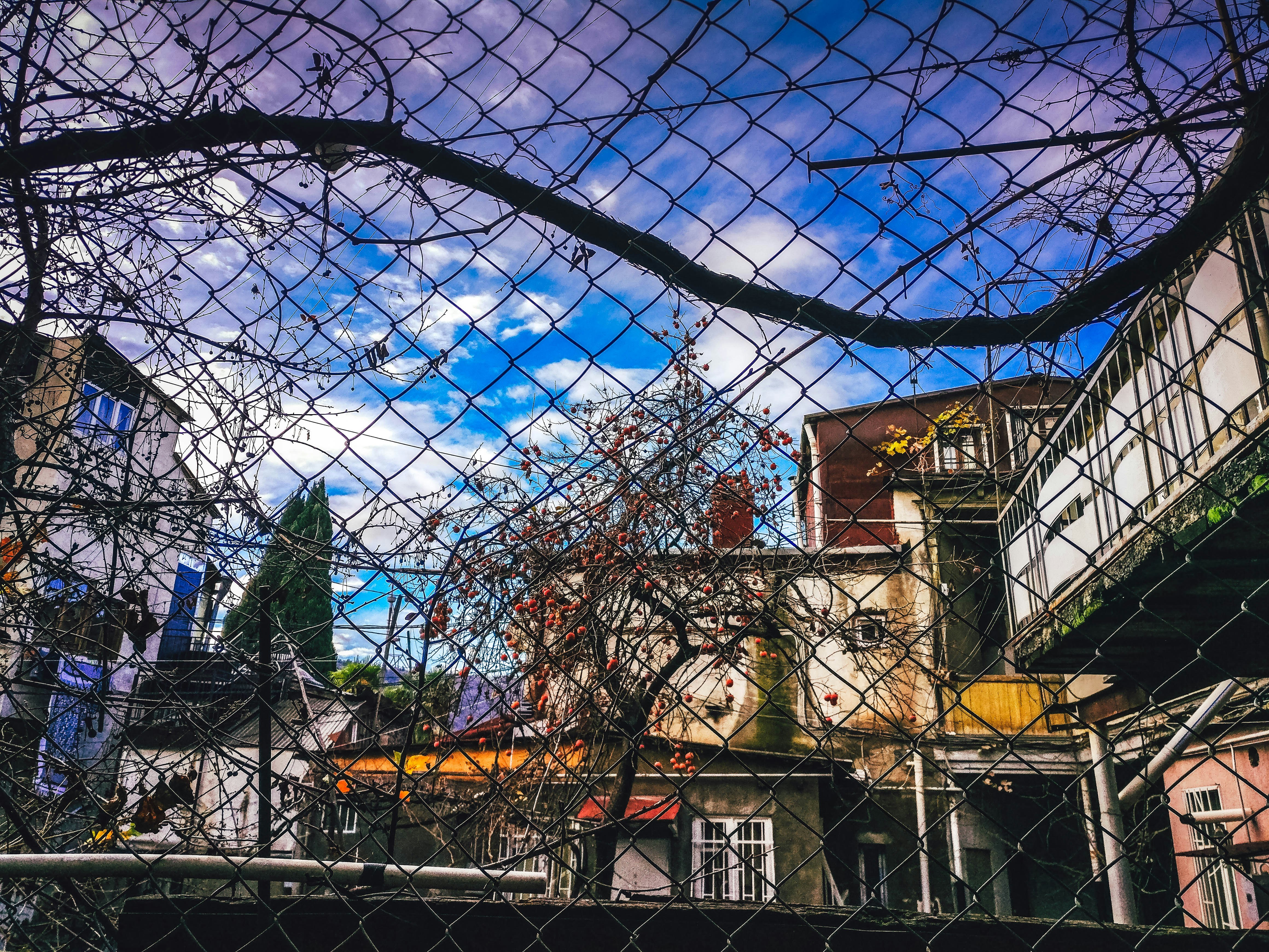 Urban street scene framed by a chain-link fence in the foreground. Colorful, pitched-roof buildings rise against a bright blue sky, with leafless branches adding a textured, cinematic frame.