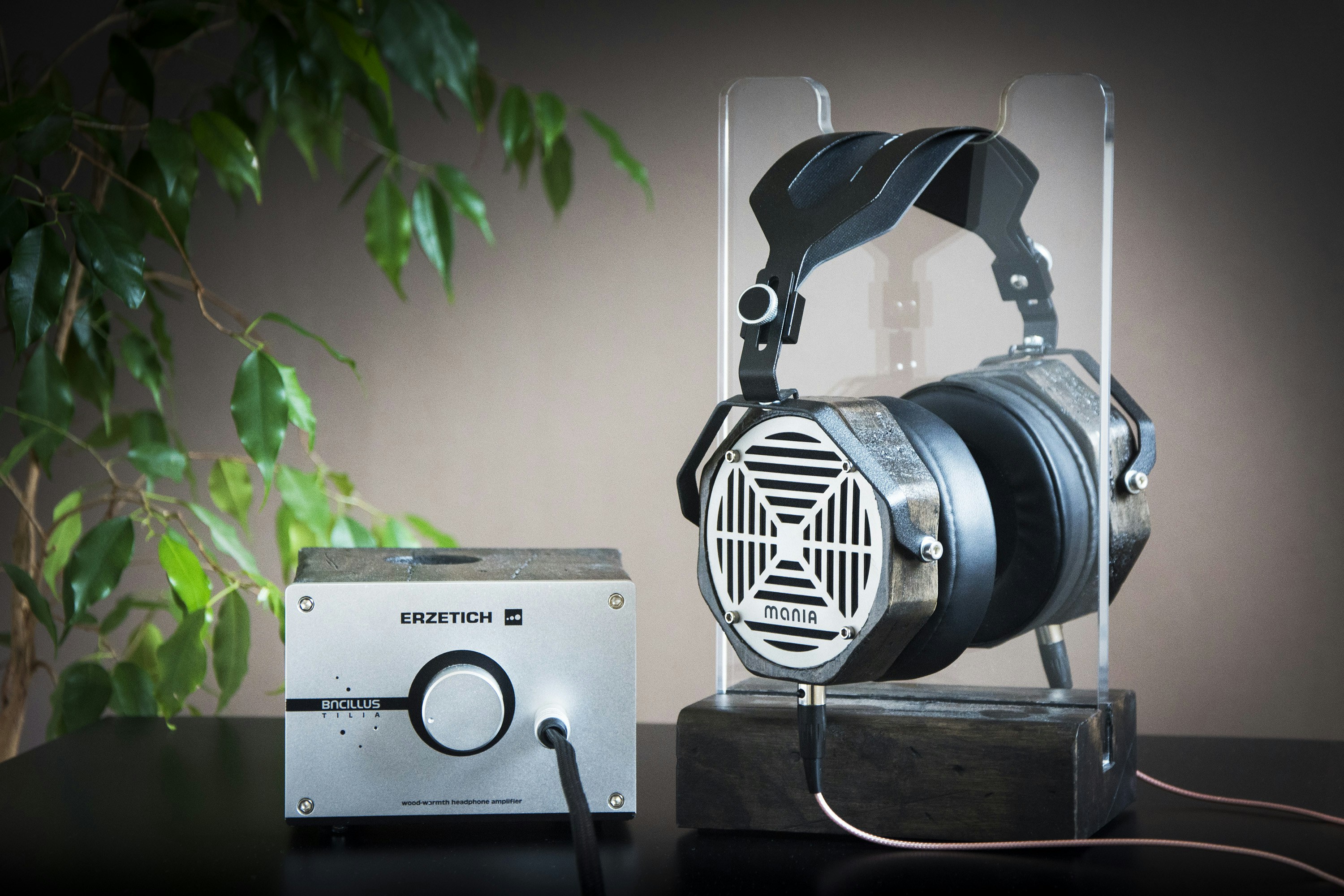 High-end headphones displayed on a sleek stand next to an audio amplifier, showcasing an elegant blend of technology and design.
