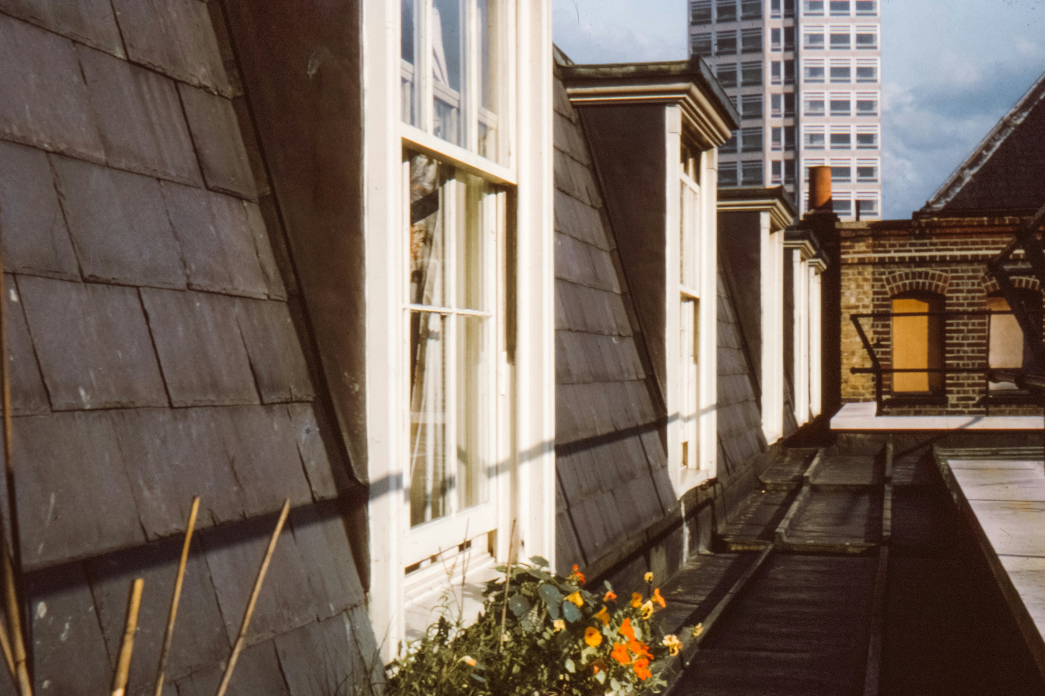 This photograph captures a rooftop view with slate dormers, white-framed windows, and a foreground planter of orange flowers. A distant city high-rise anchors the background.