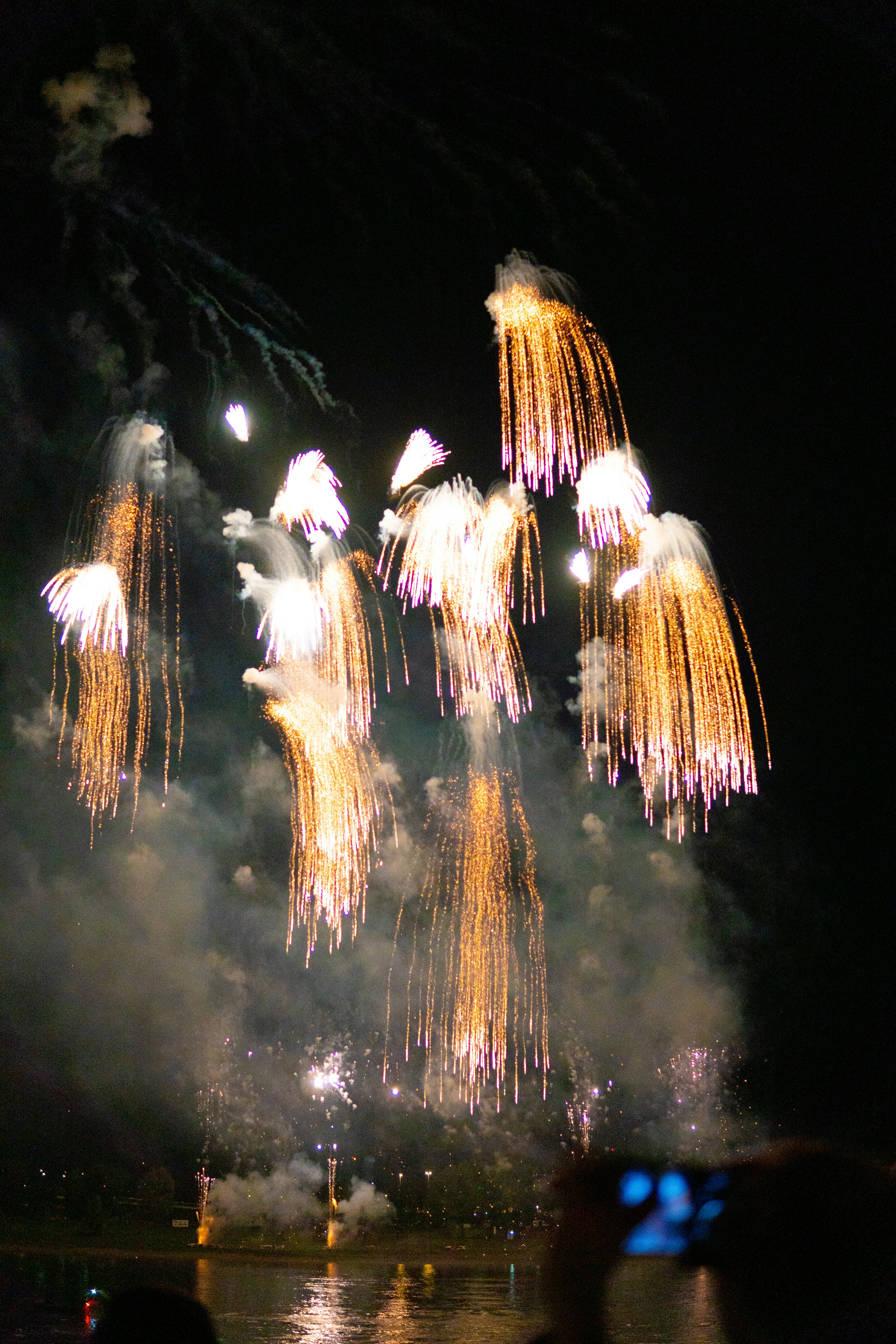Golden Firework Dandelions Cascading Across a Night Lake