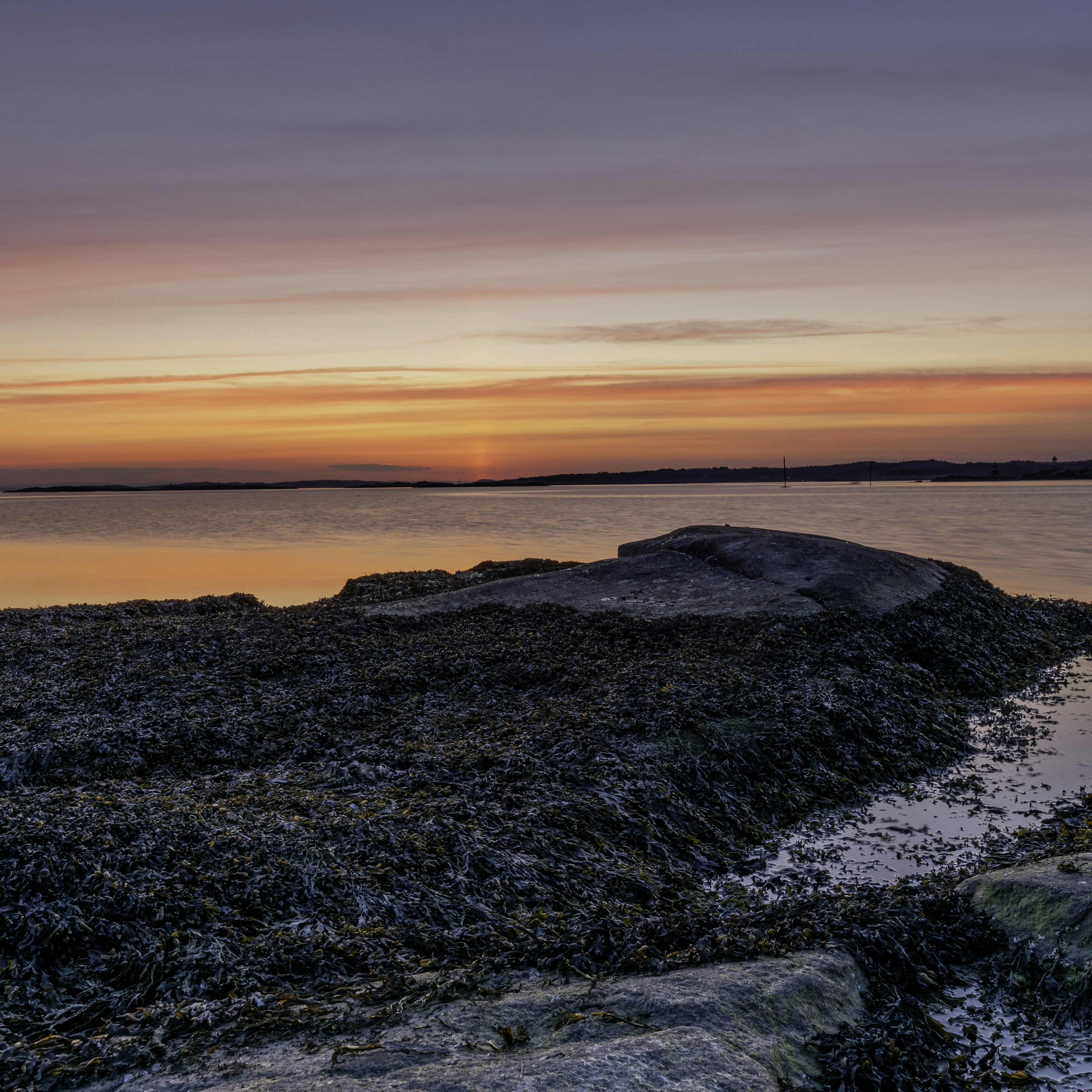 1000+ Amateur Pictures | Download Free Images on Unsplash