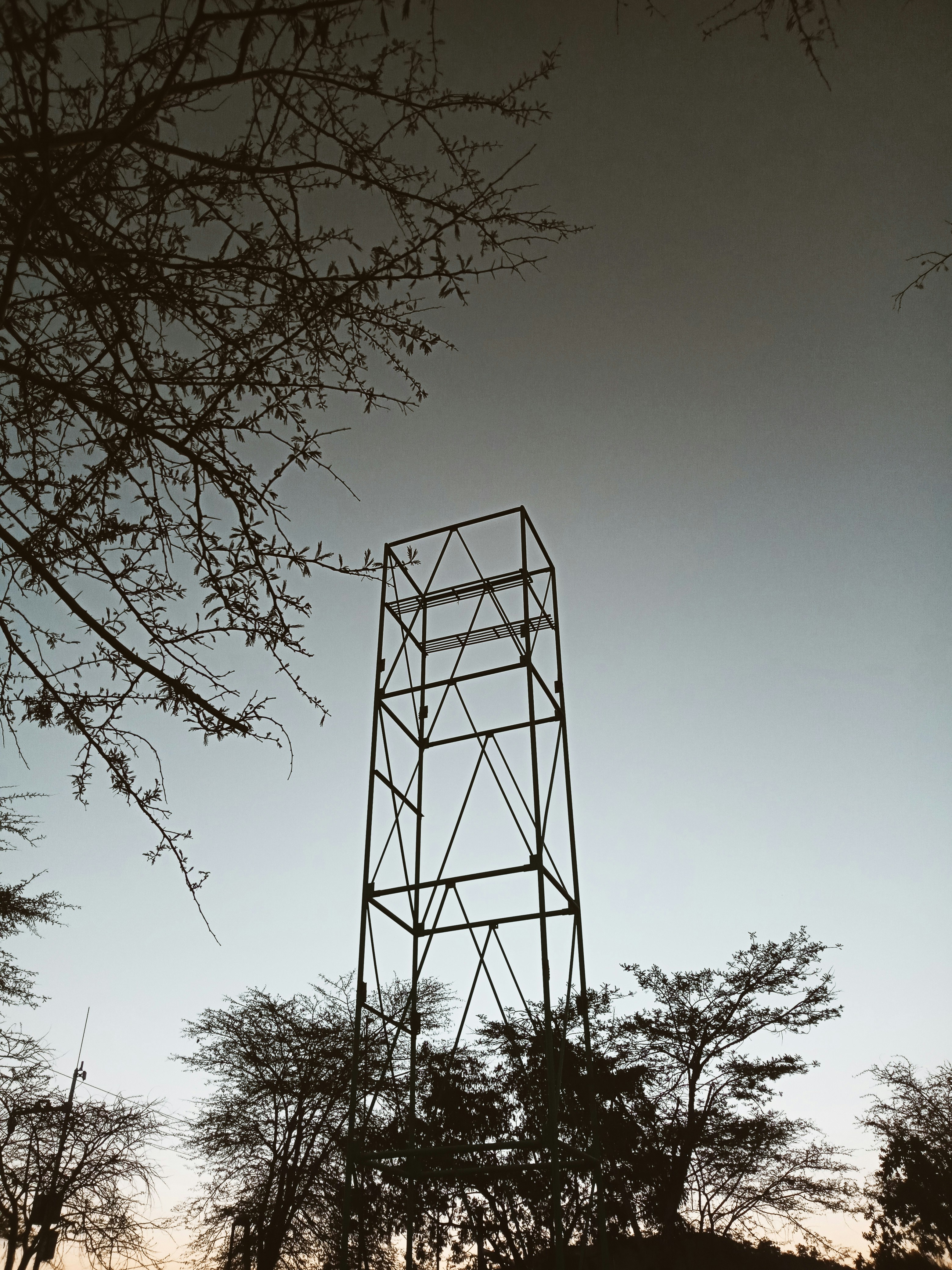 grey metal tower behind the tree