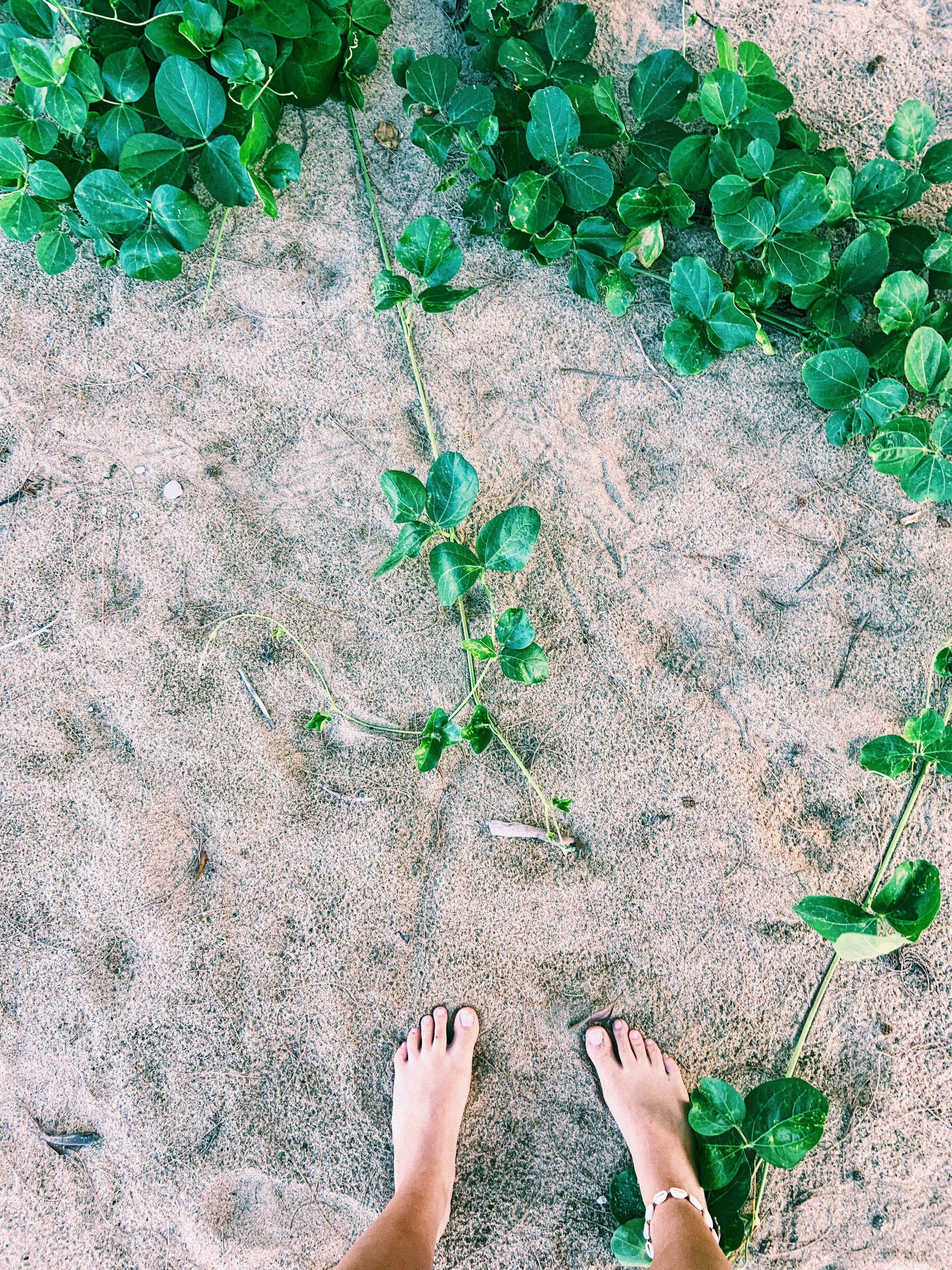 woman standing on sand dunes