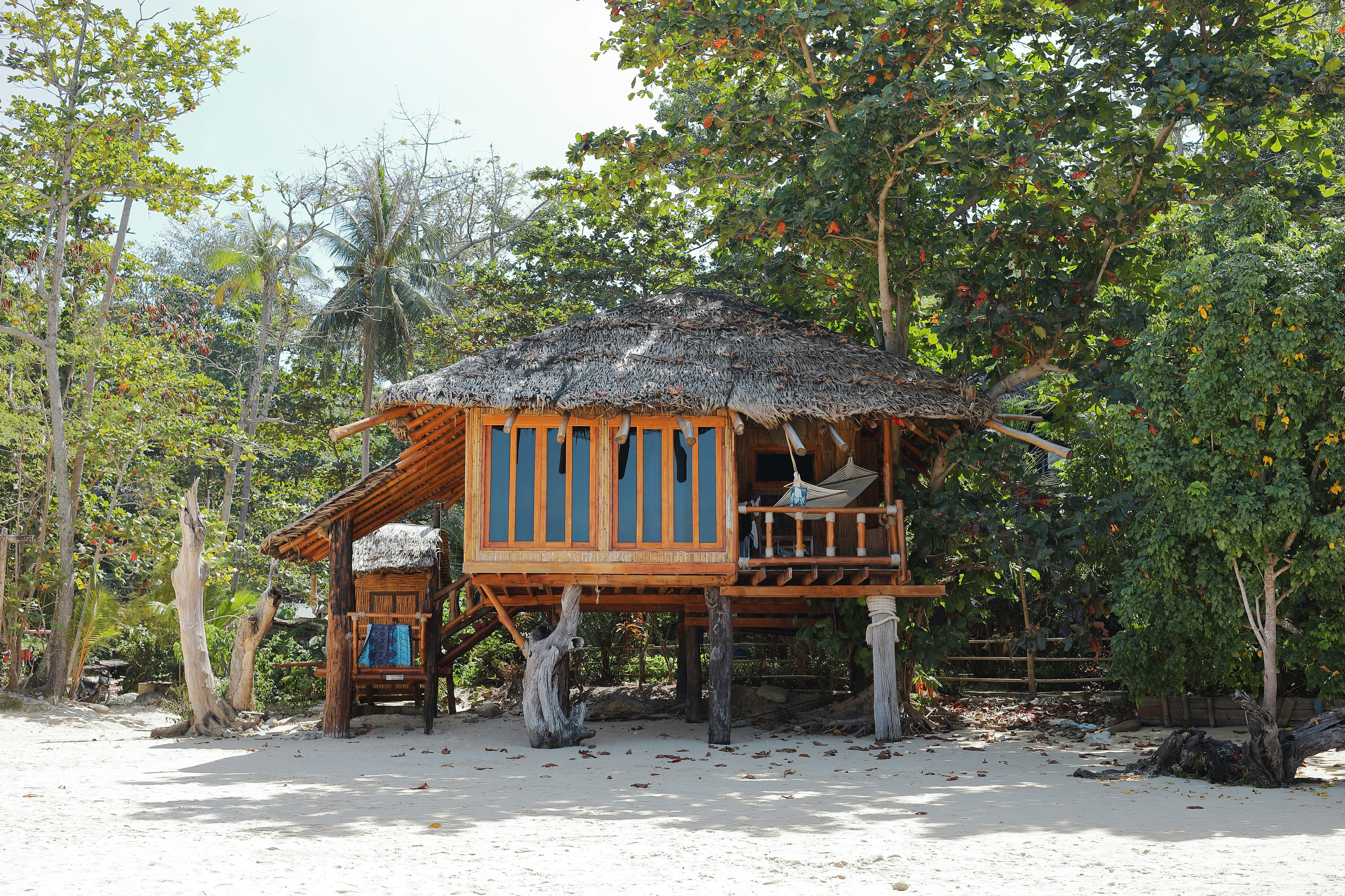 Brown wooden hut under tree during daytime photo – Free Phi phi Image ...