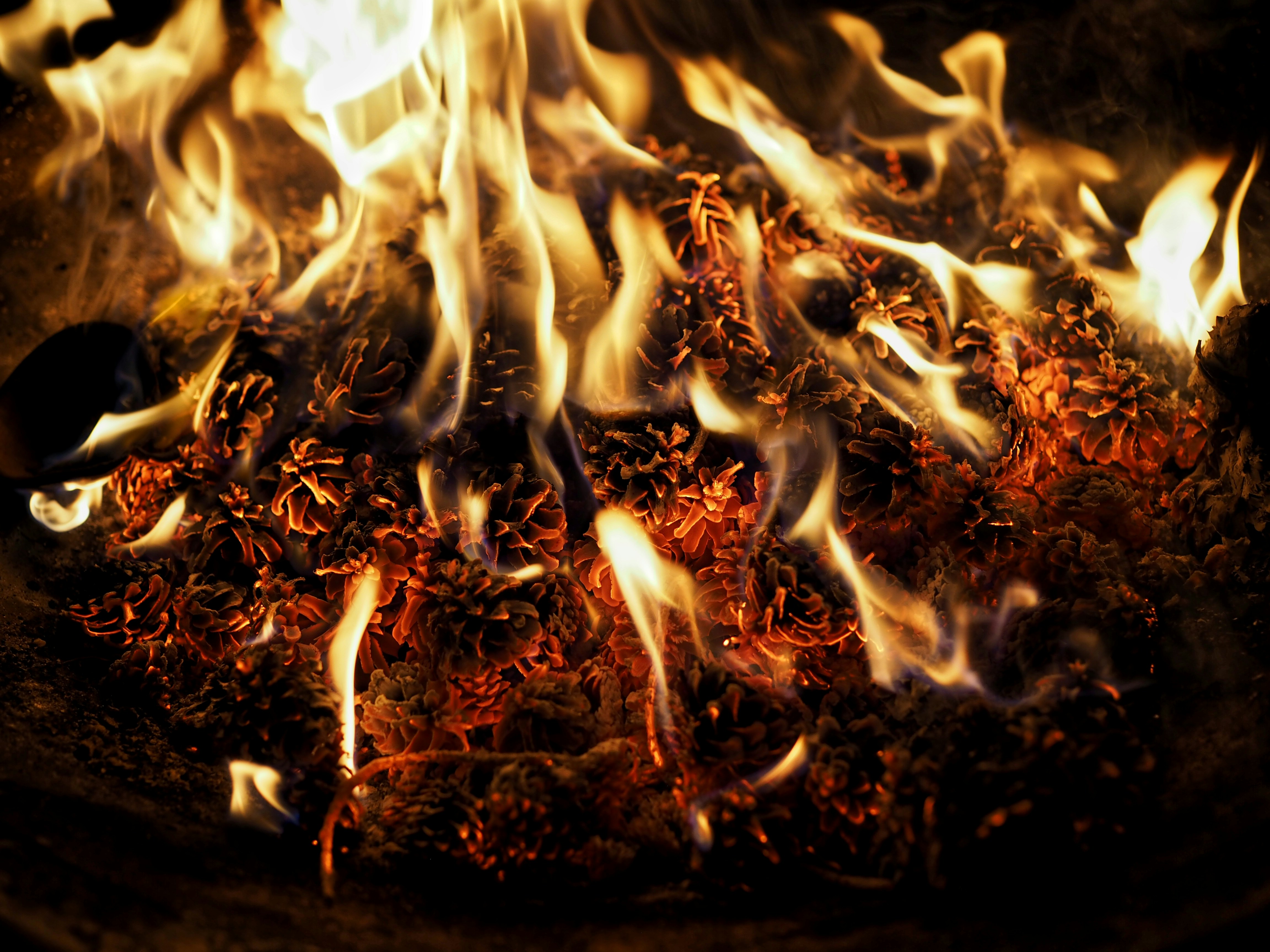 Bonfire photo – Free Fire Image on Unsplash