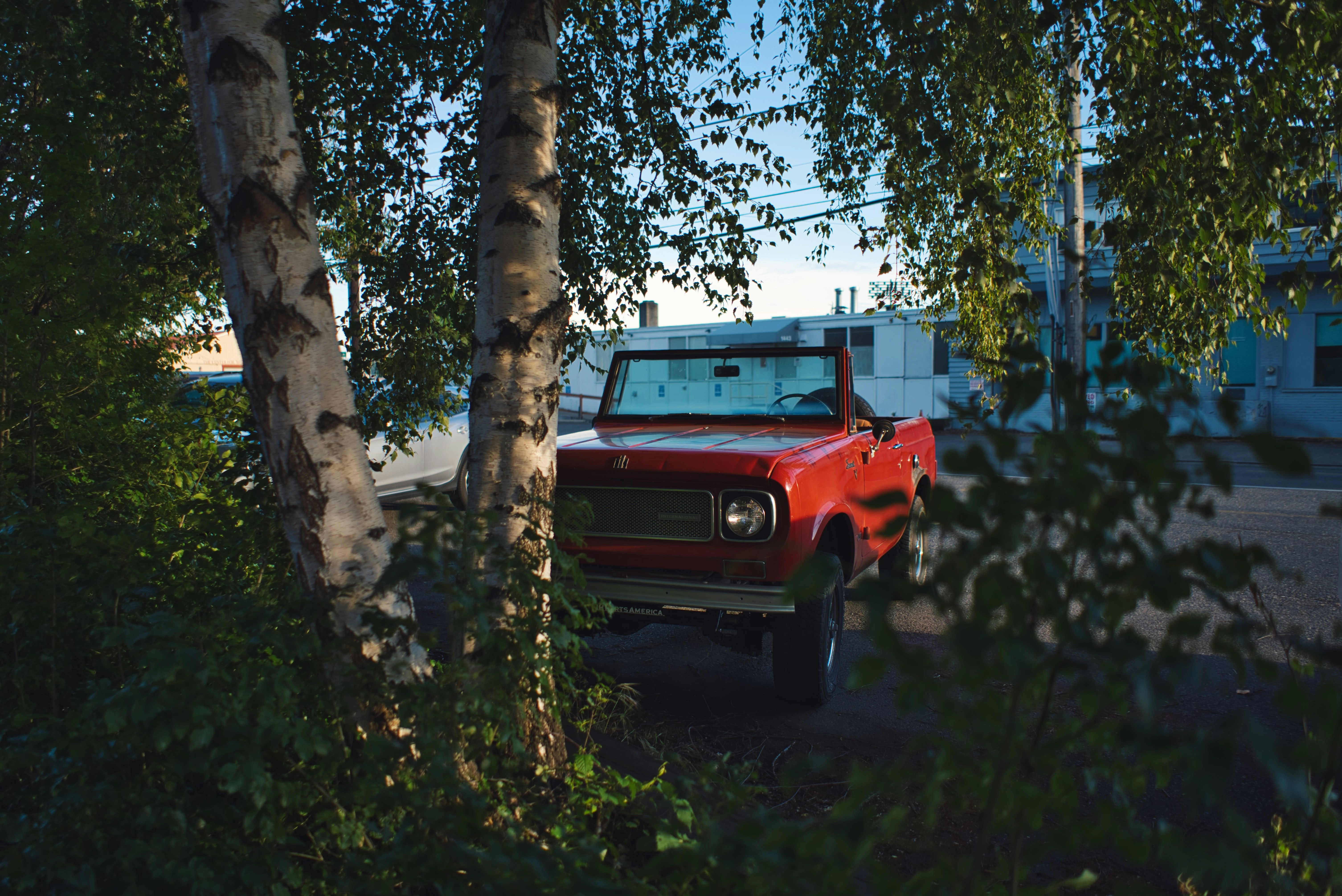A vintage red pickup truck partially obscured by lush greenery, set against an urban backdrop. The scene conveys a blend of nostalgia and nature's embrace.