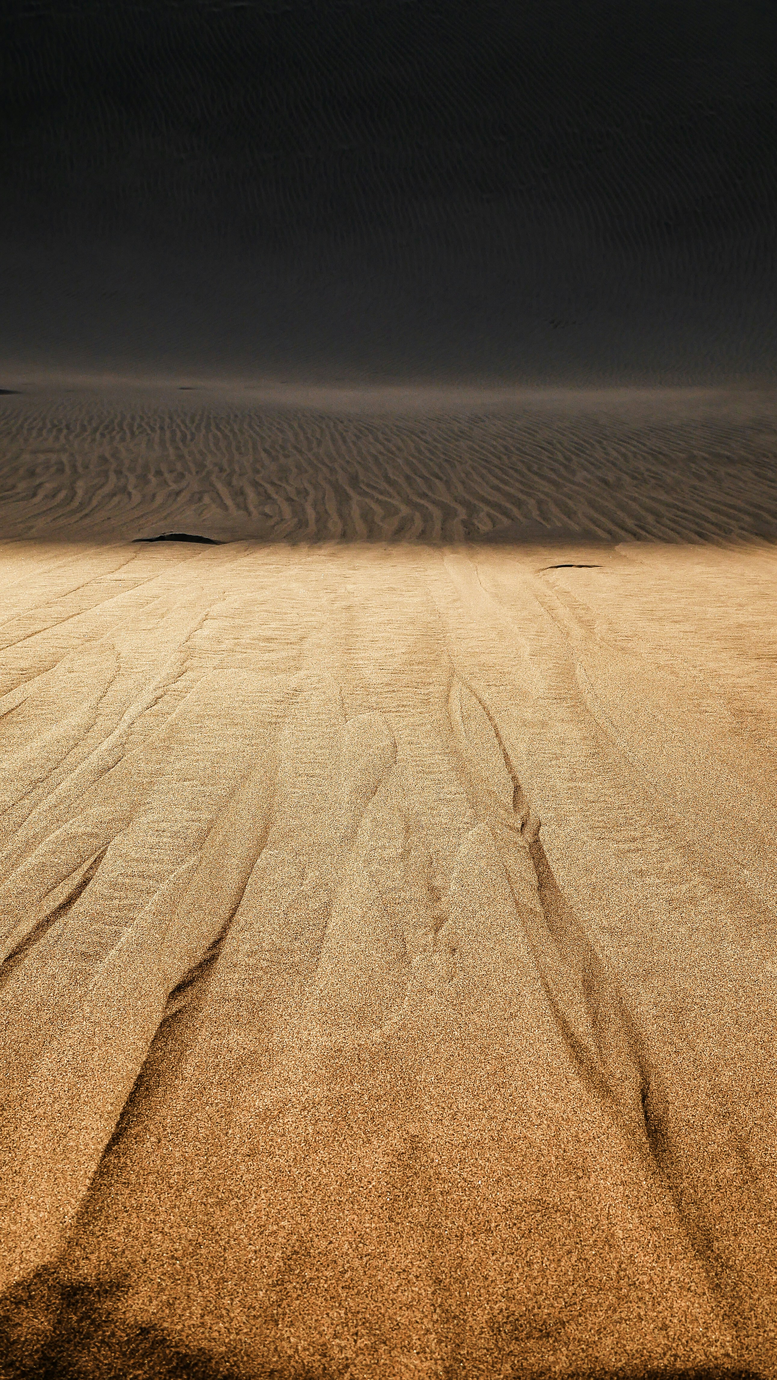 Sand dunes at night photo – Free Nature Image on Unsplash
