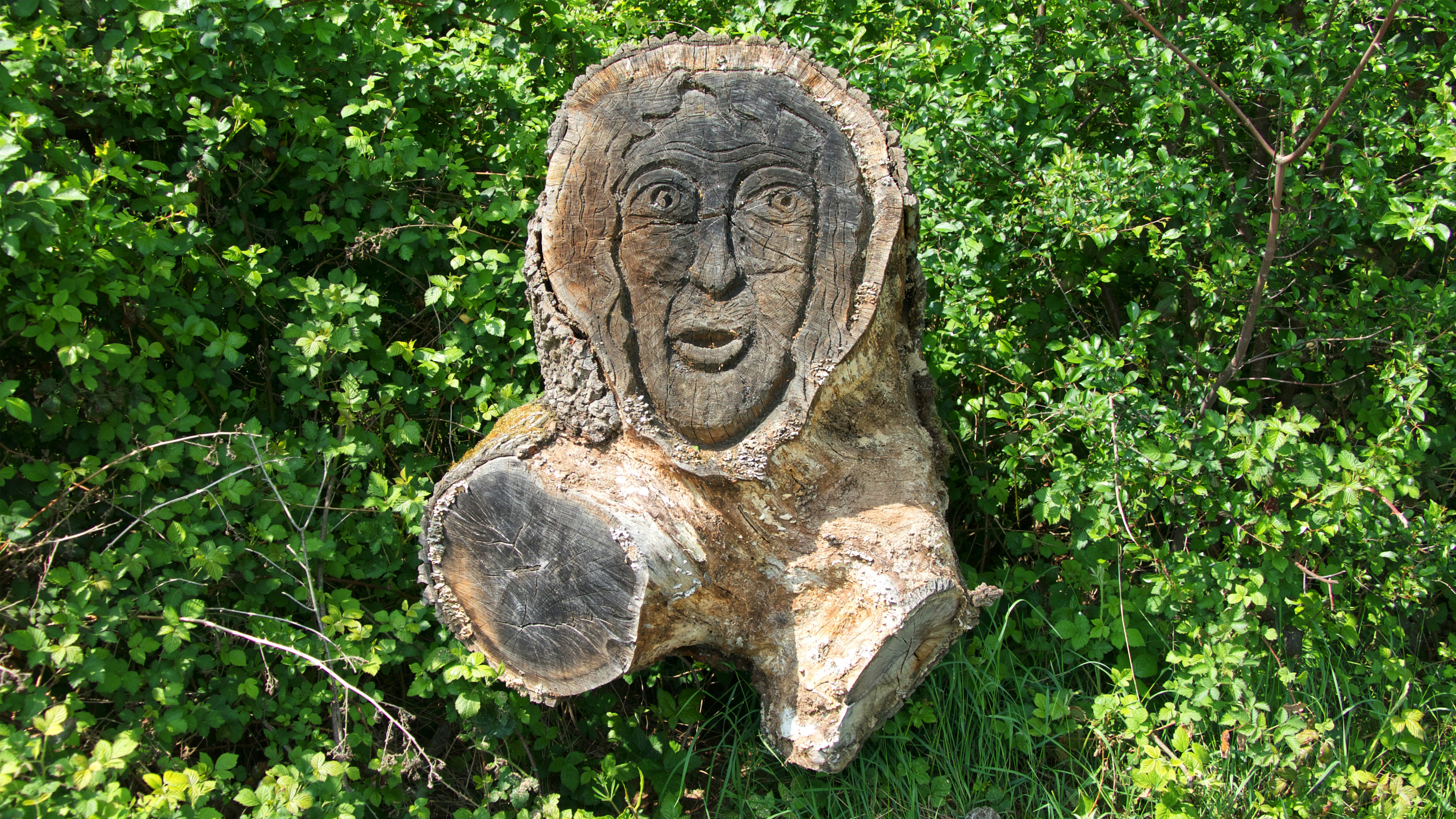 Sculpture sur bois près du château de Ferrières-en-Brie 