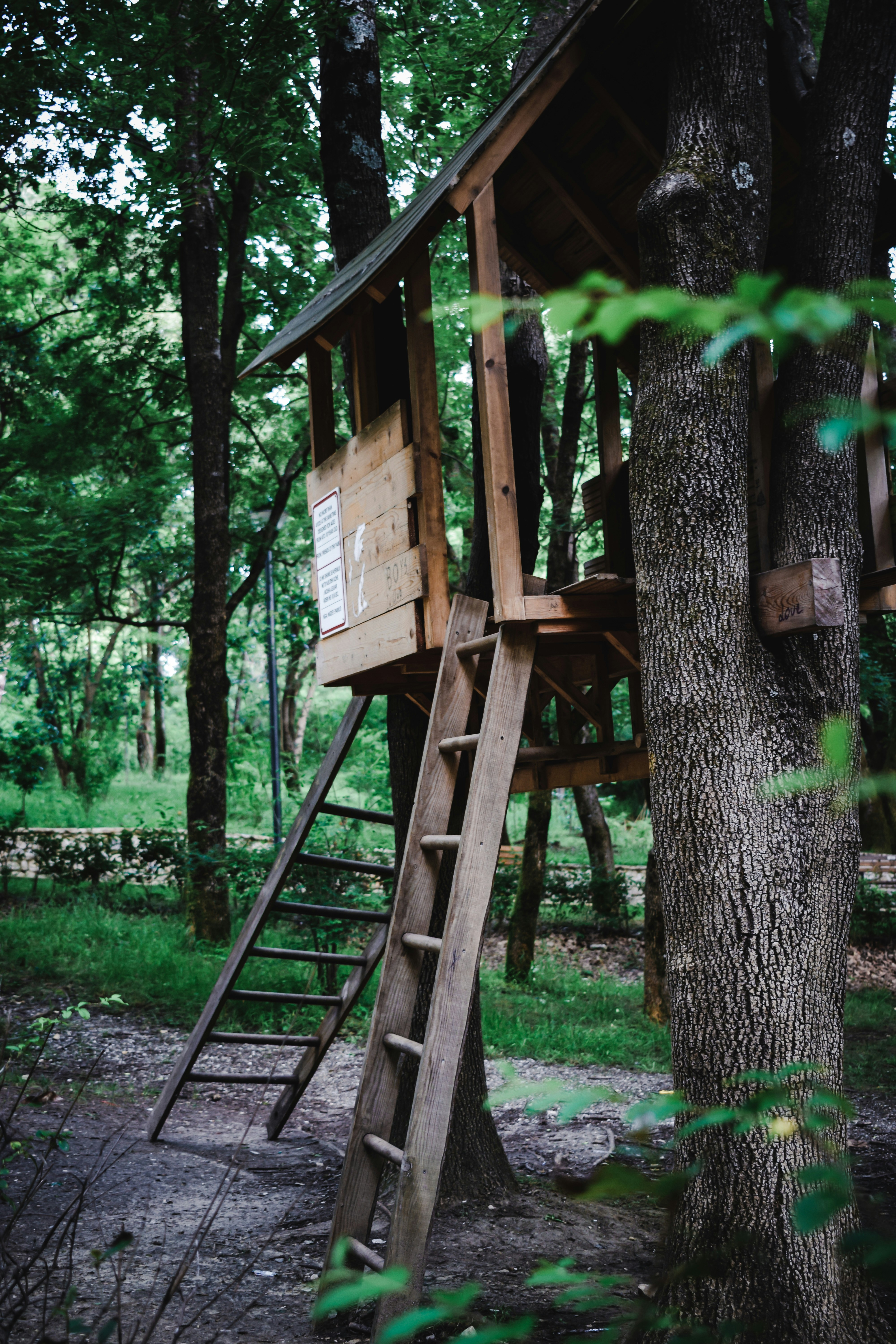 Brown wooden tree house photo – Free Albania Image on Unsplash
