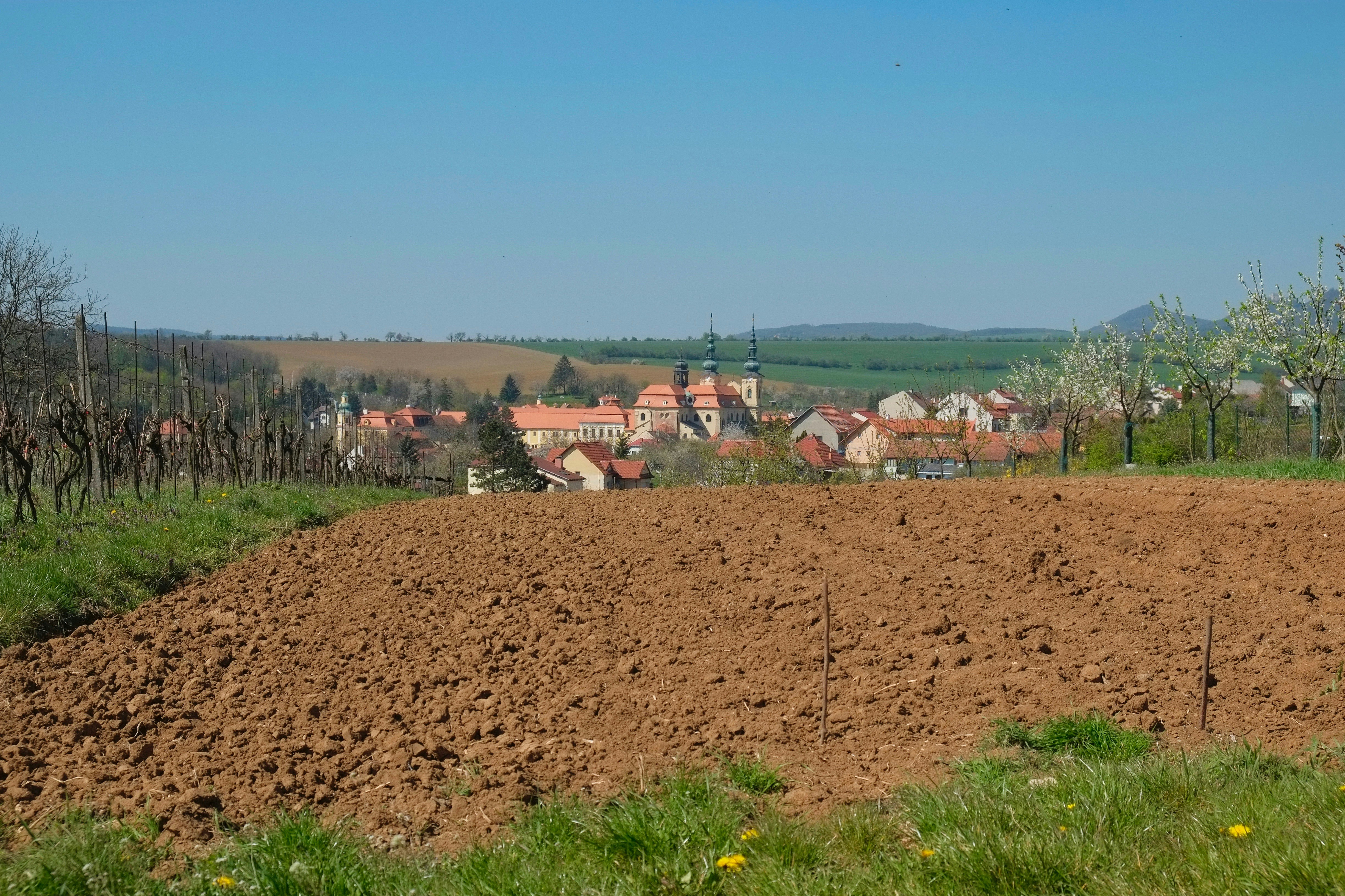 Définition de fertile | Dictionnaire français