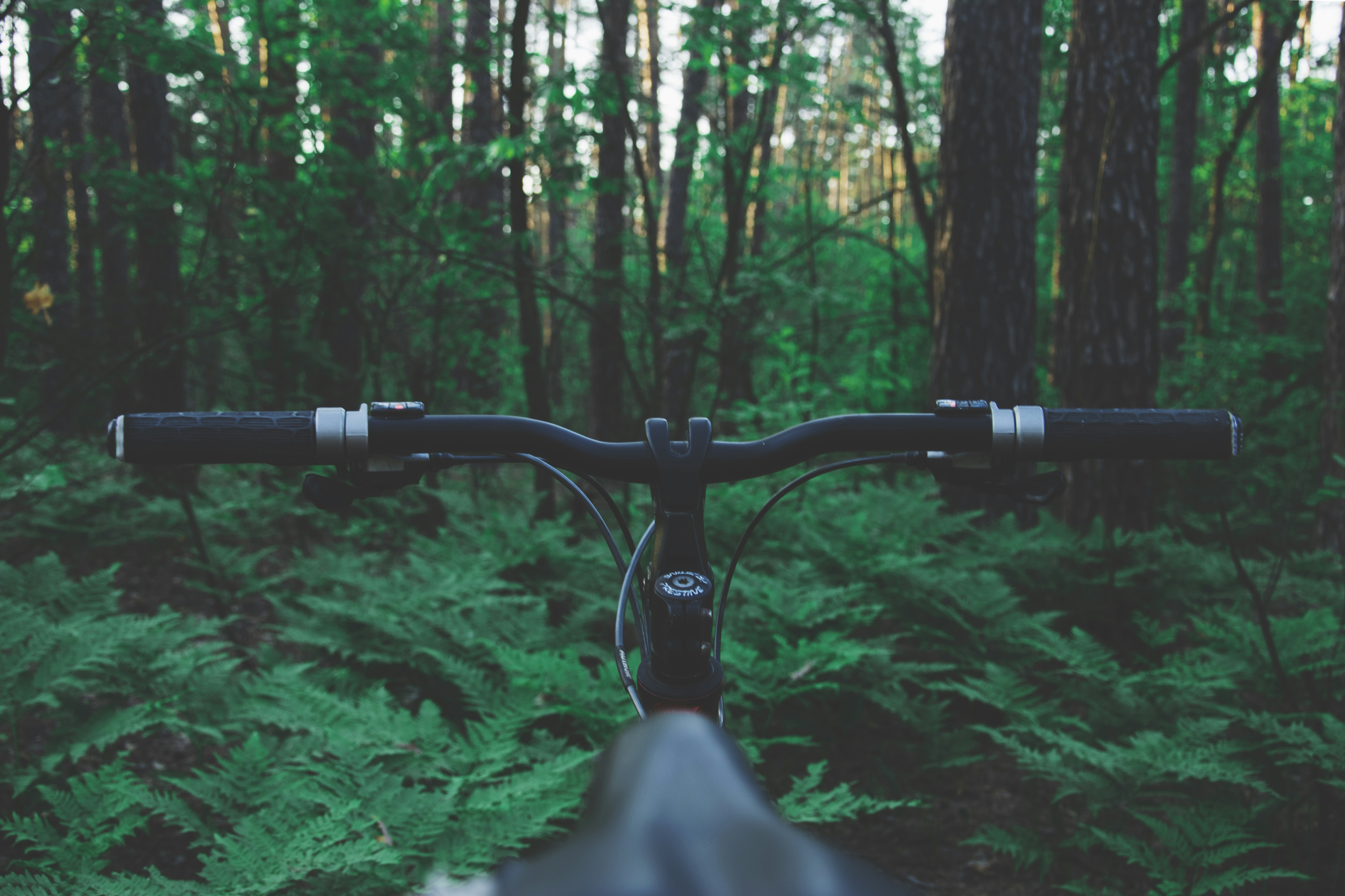 Empty black mountain bike in forest photo – Free Forest Image on Unsplash