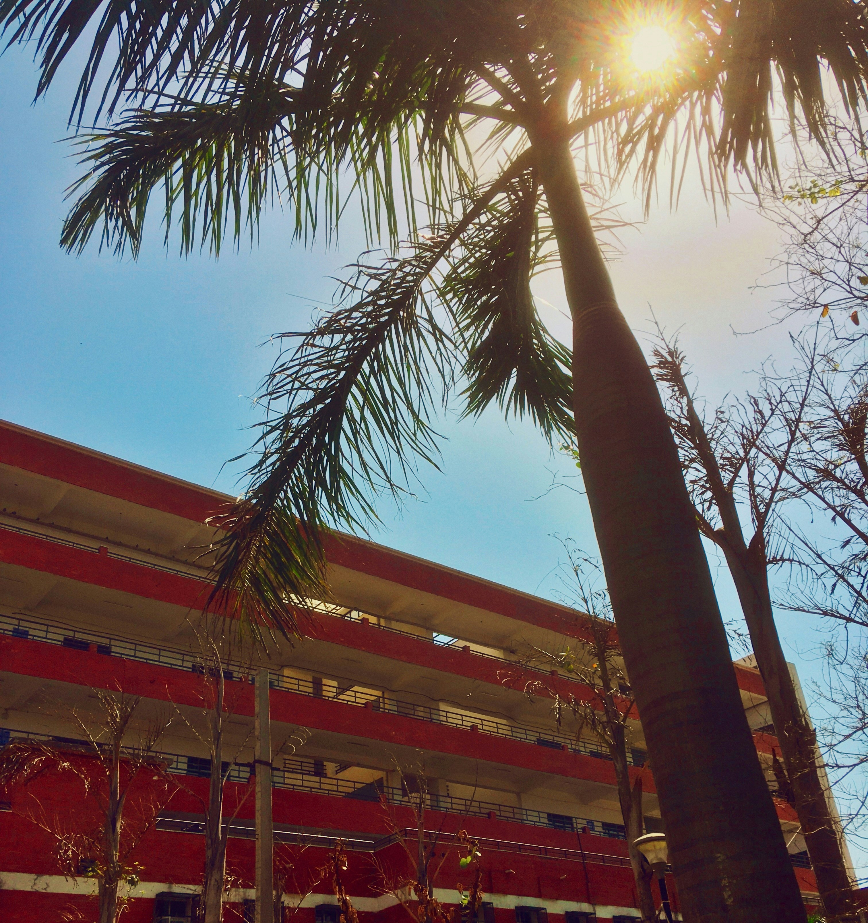 Définition de enclave énallogène | Dictionnaire français