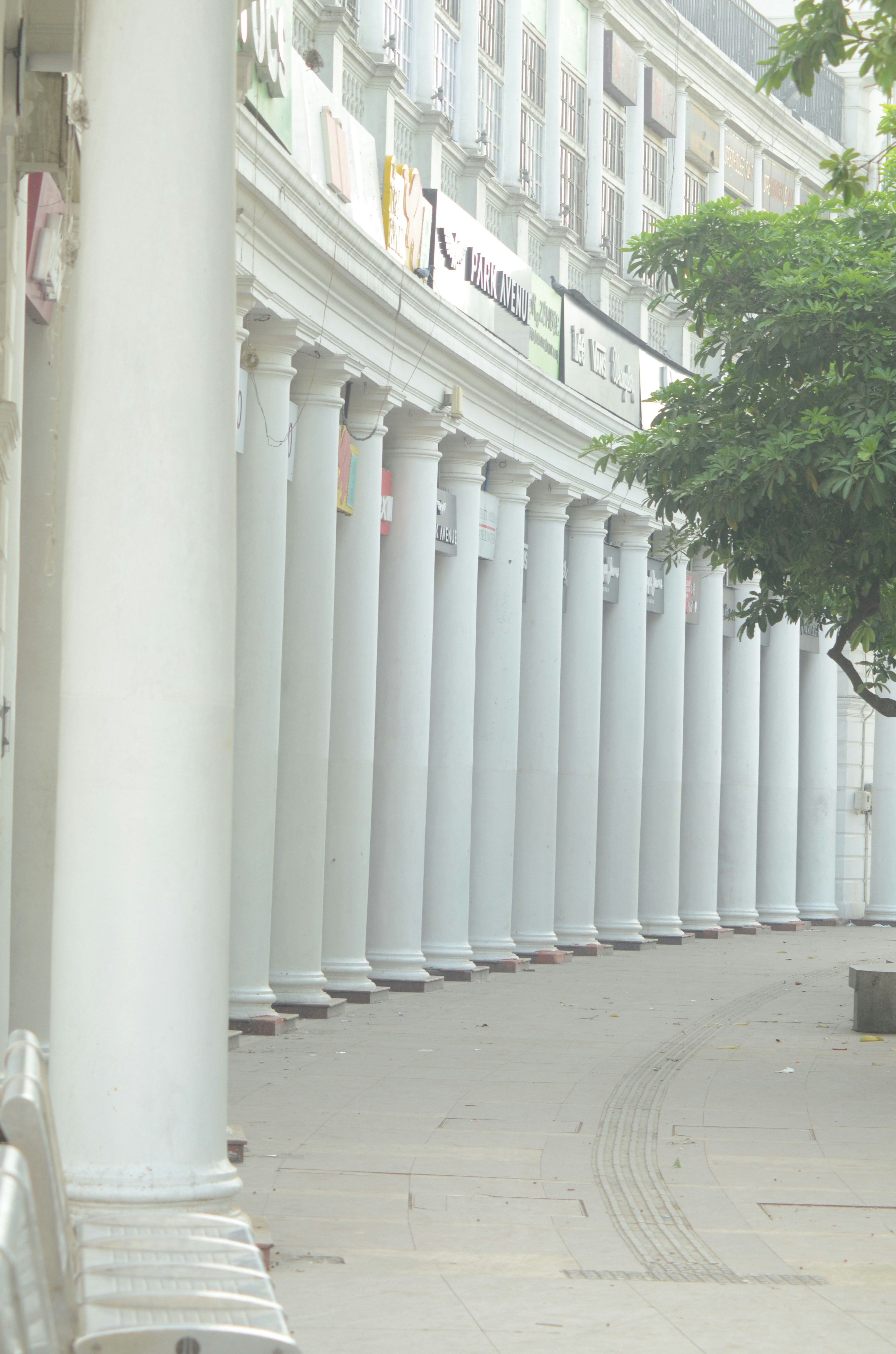 Colonnade Echo: A Quiet Ave Beneath Receding Columns