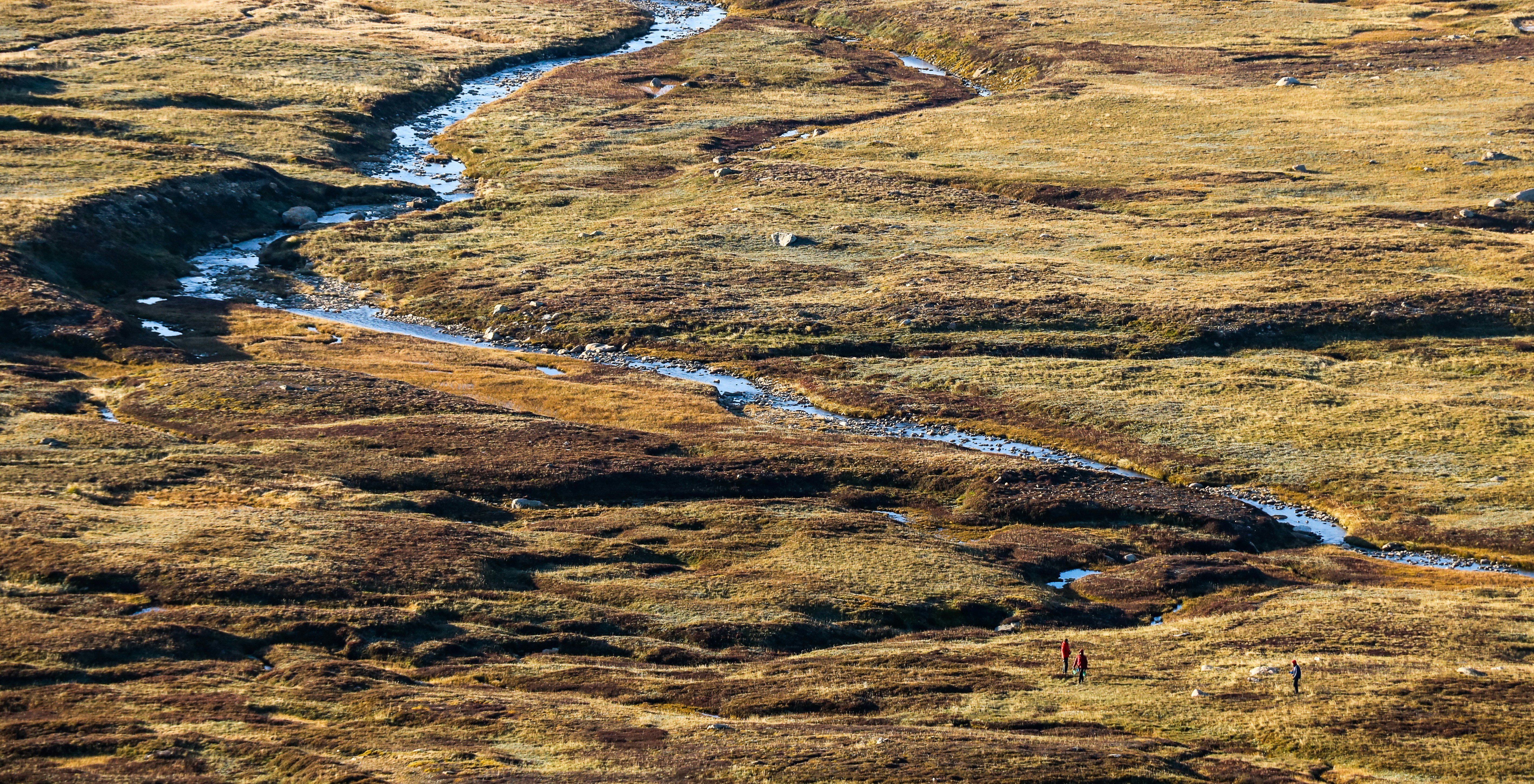 Définition de toundra | Dictionnaire français