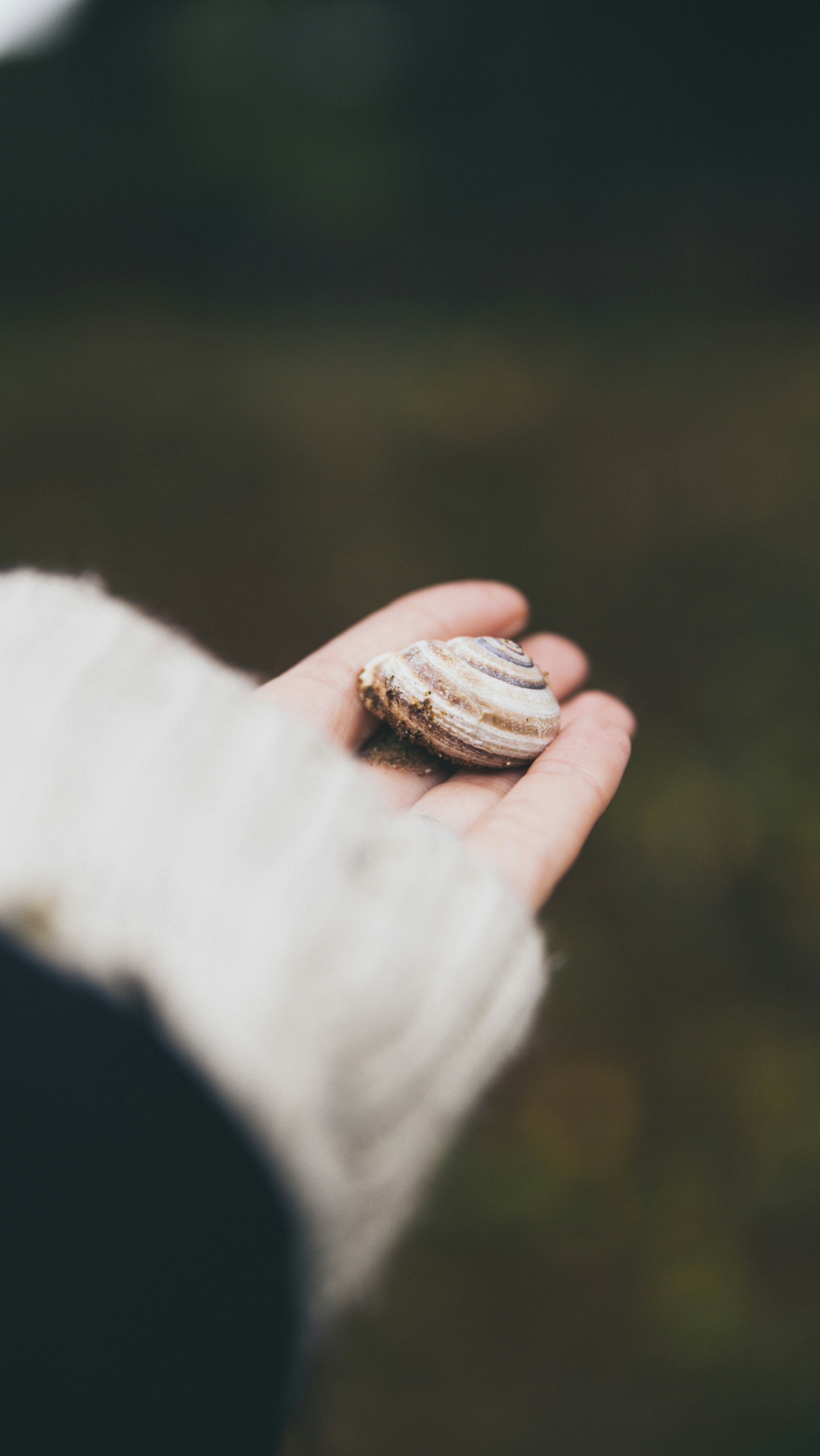 Palmful of Tide: A Quiet Coastal Keepsake