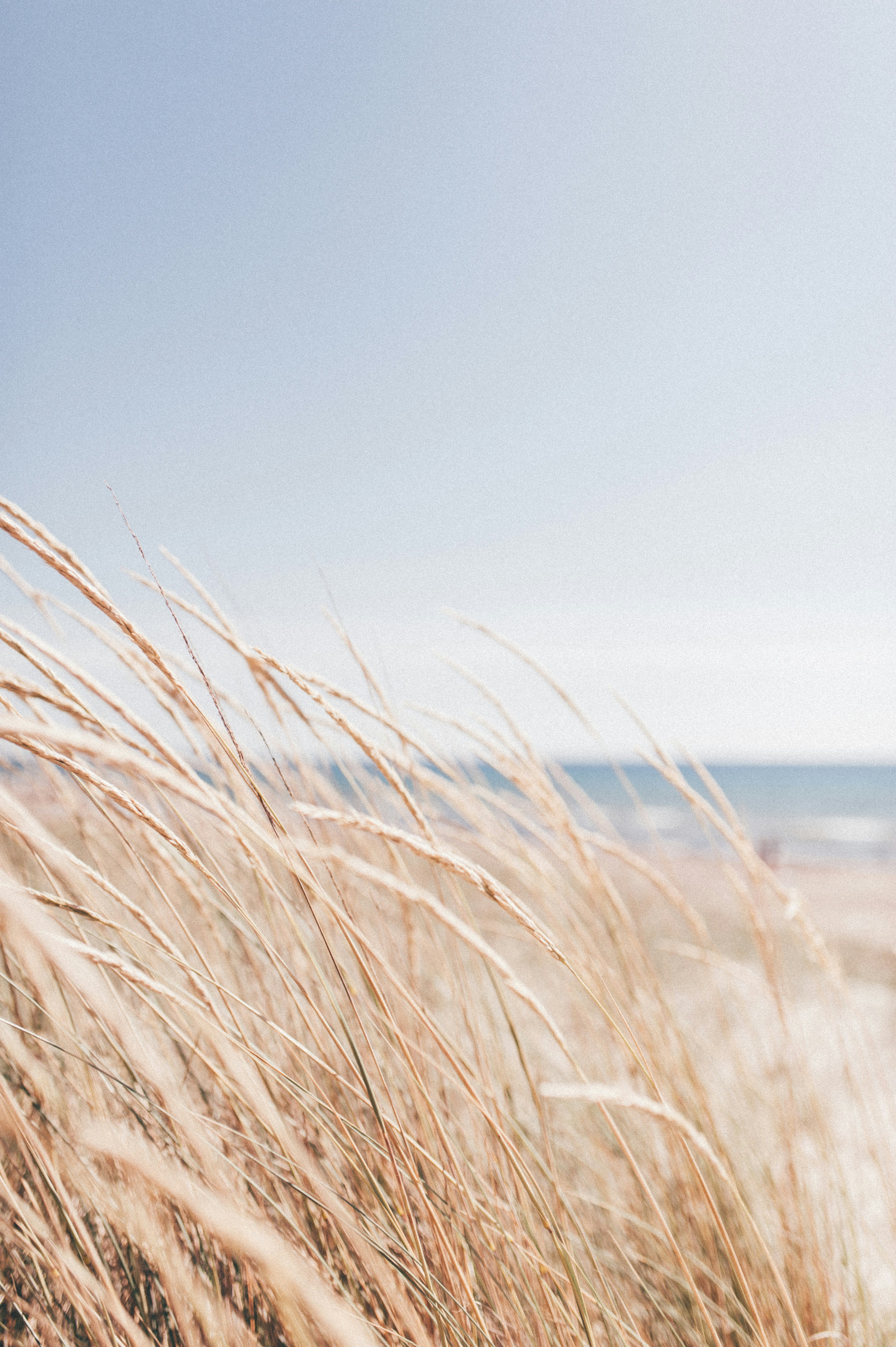 100+ Chill Pictures [HD] | Download Free Images on Unsplash