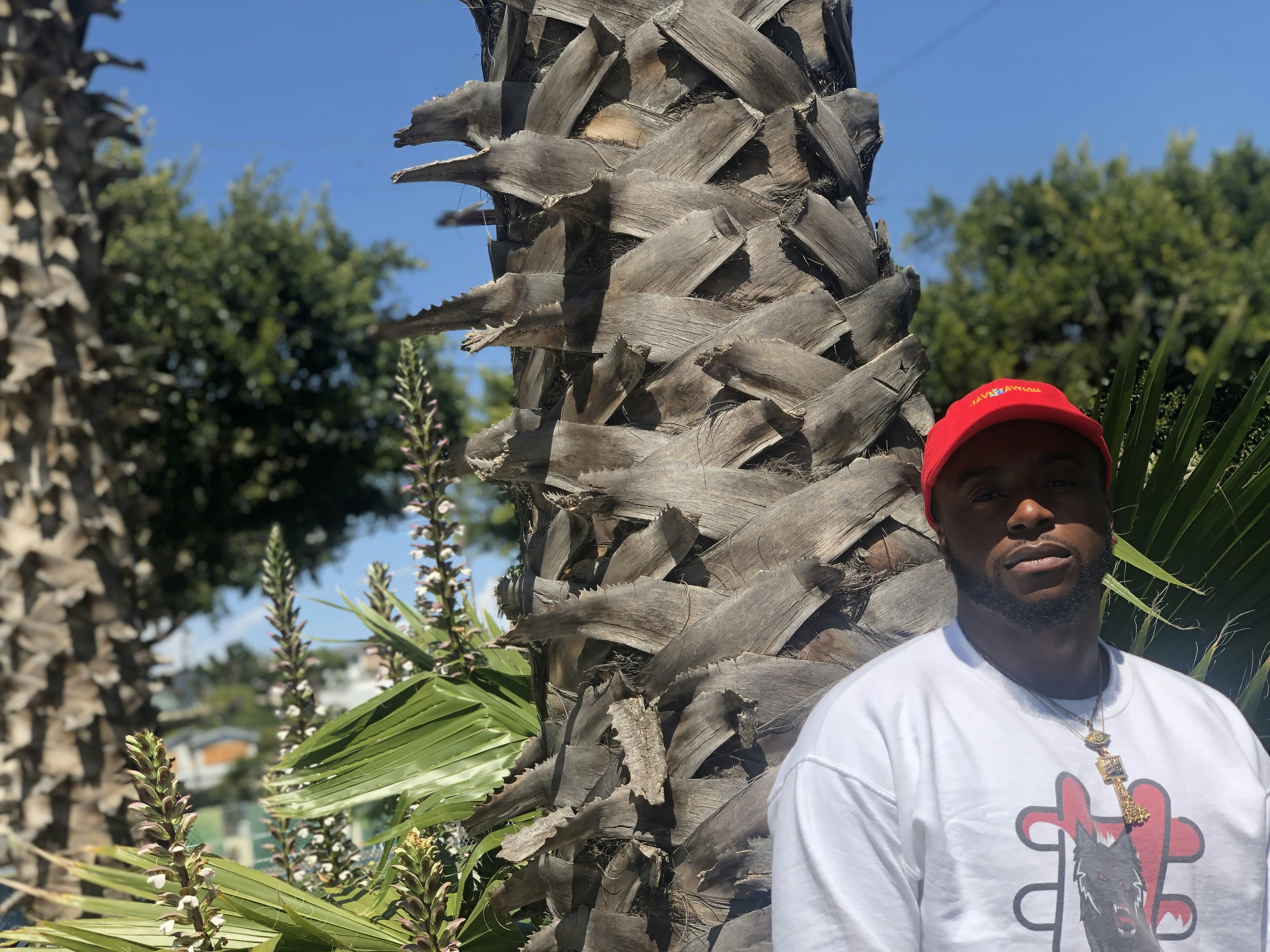 Sunlit Portrait by the Palm: A Red-Capped Presence