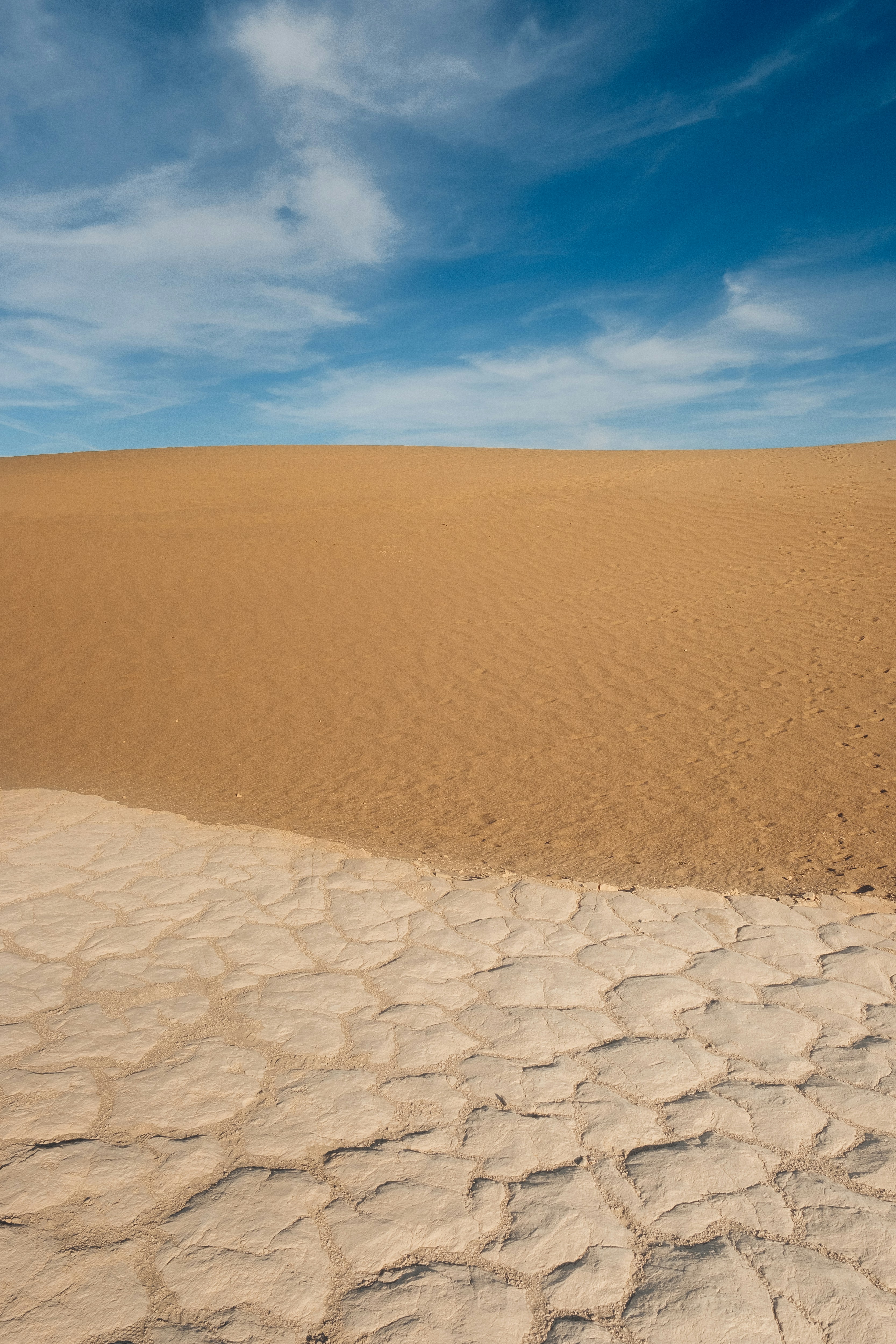 Cracked Crest: Desert Texture at the Dune's Edge