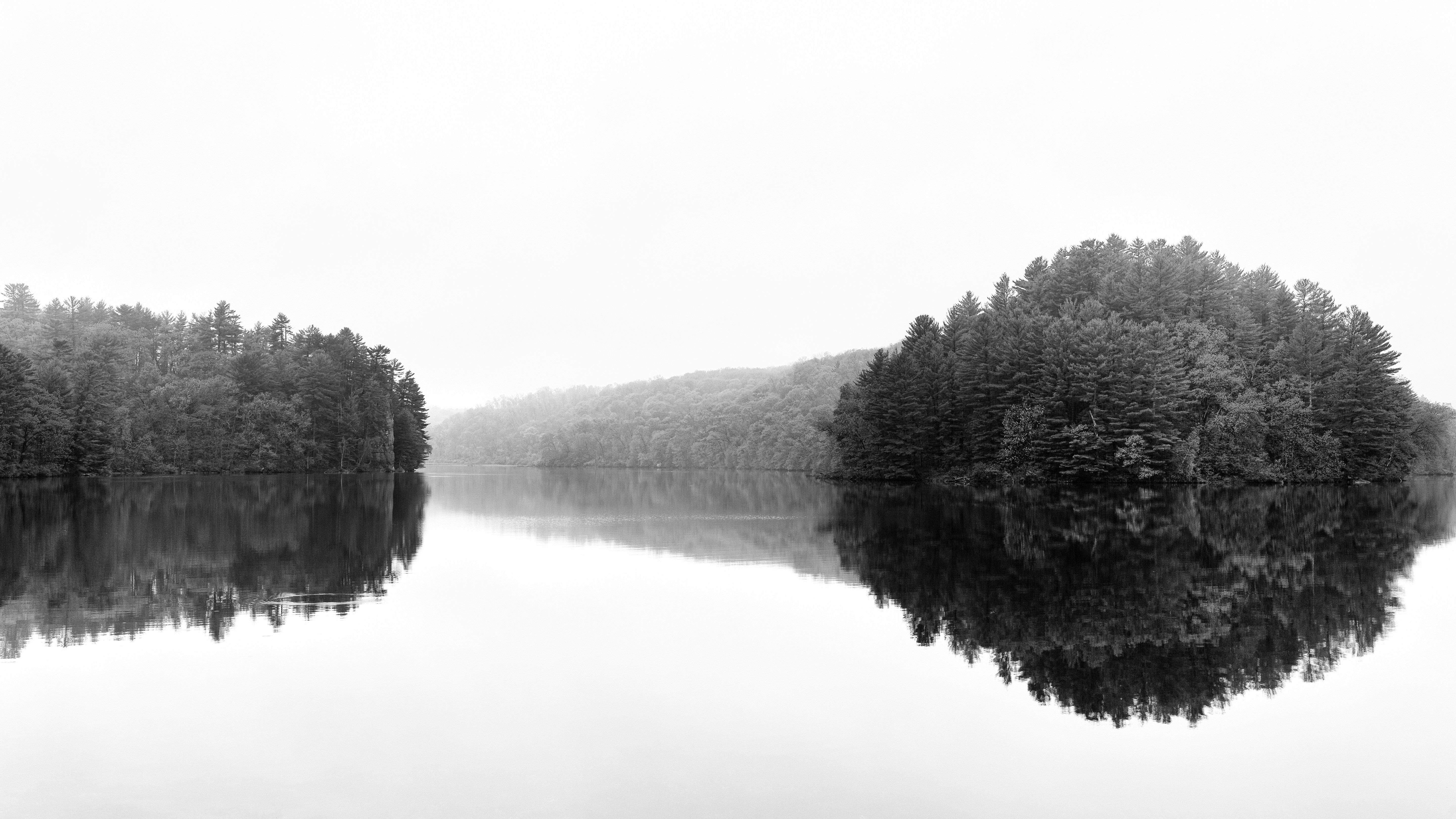 A tranquil lake mirrors the surrounding trees, creating a harmonious balance between land and water. The monochrome palette enhances the peaceful atmosphere.