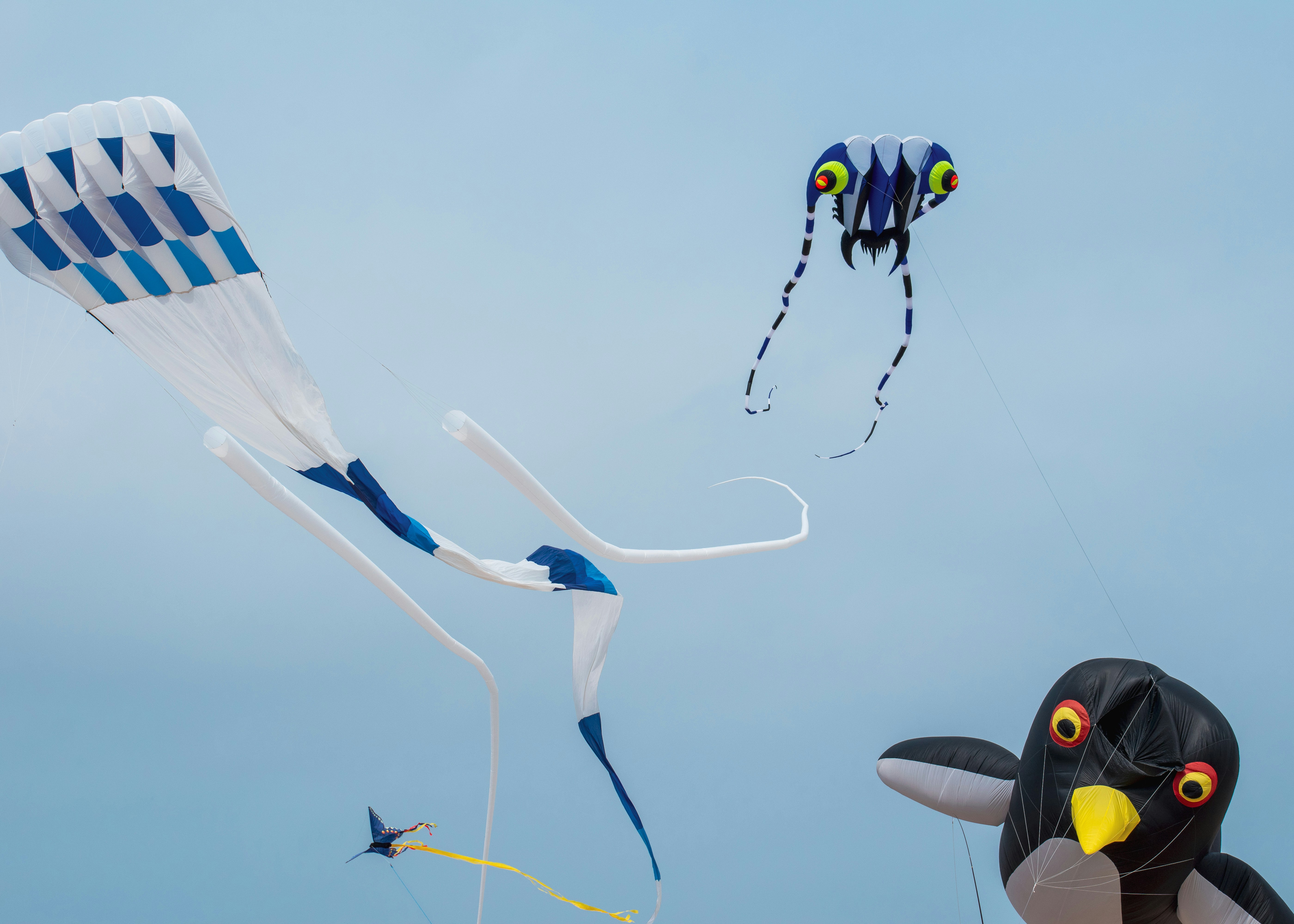 A bunch of kites that are flying in the sky photo – Free Kite Image on ...