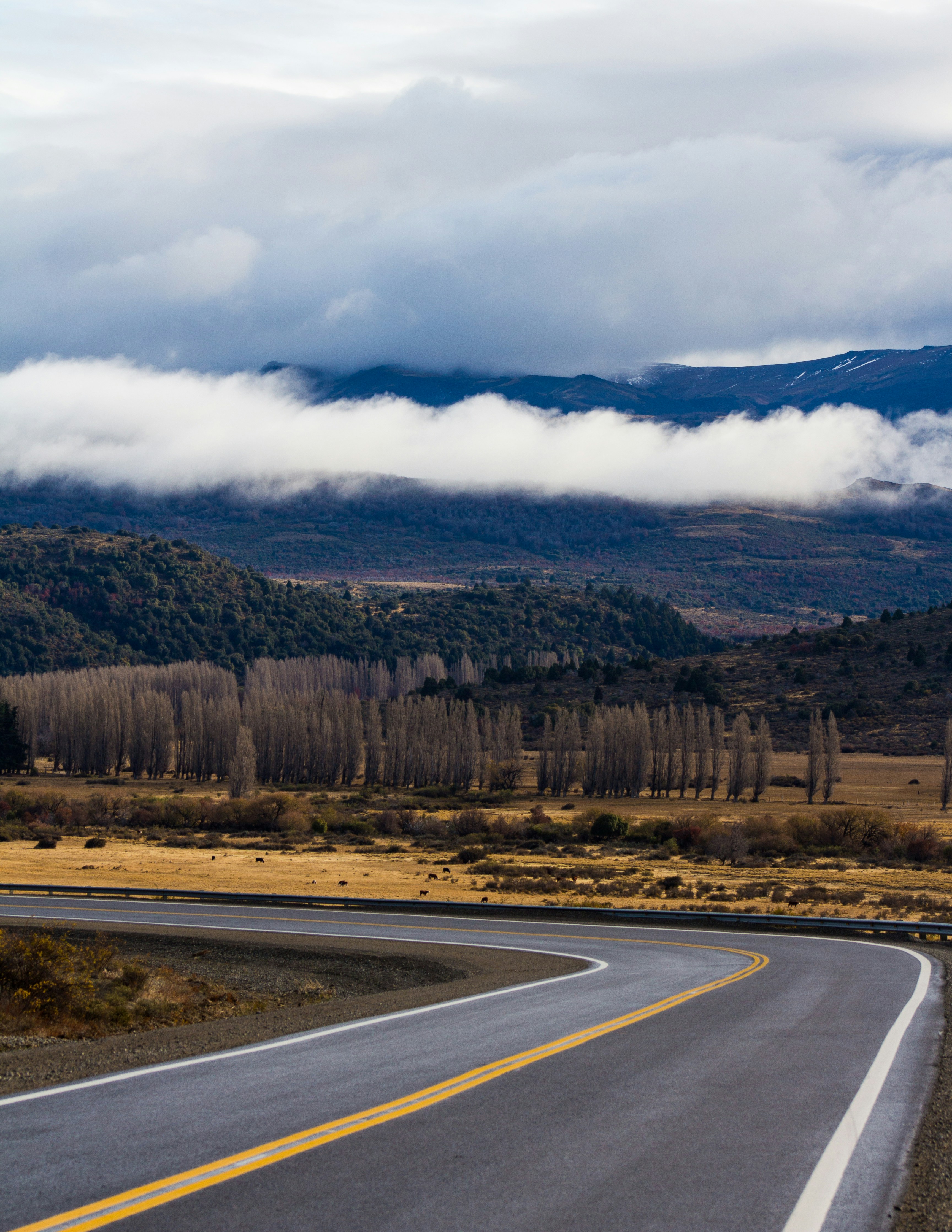 Curve and Horizon: A Quiet Highway Through Mountain Vale