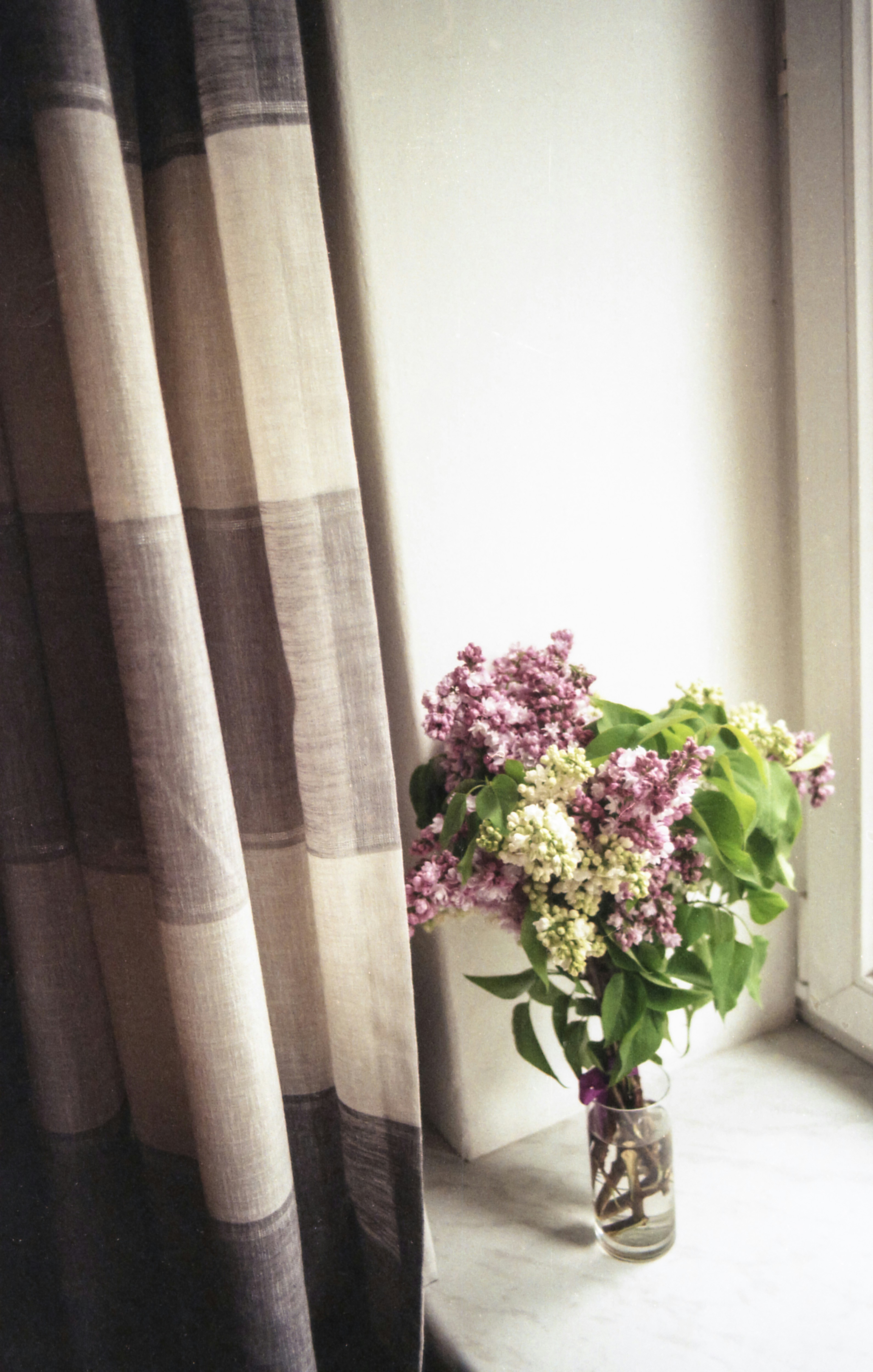Sunlit Lilac Bouquet by the Windowsill