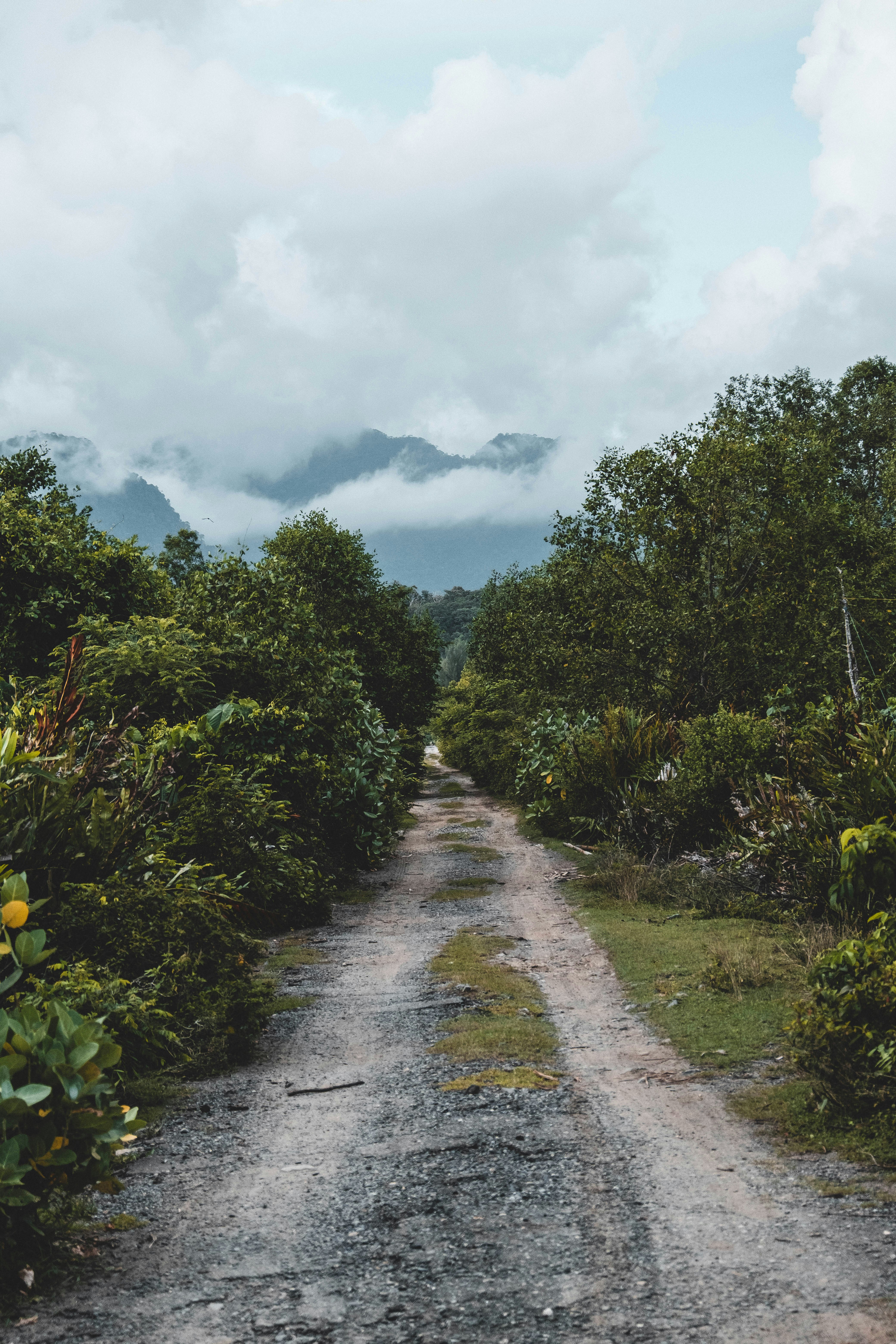 Gray concrete walkway photo – Free Road Image on Unsplash